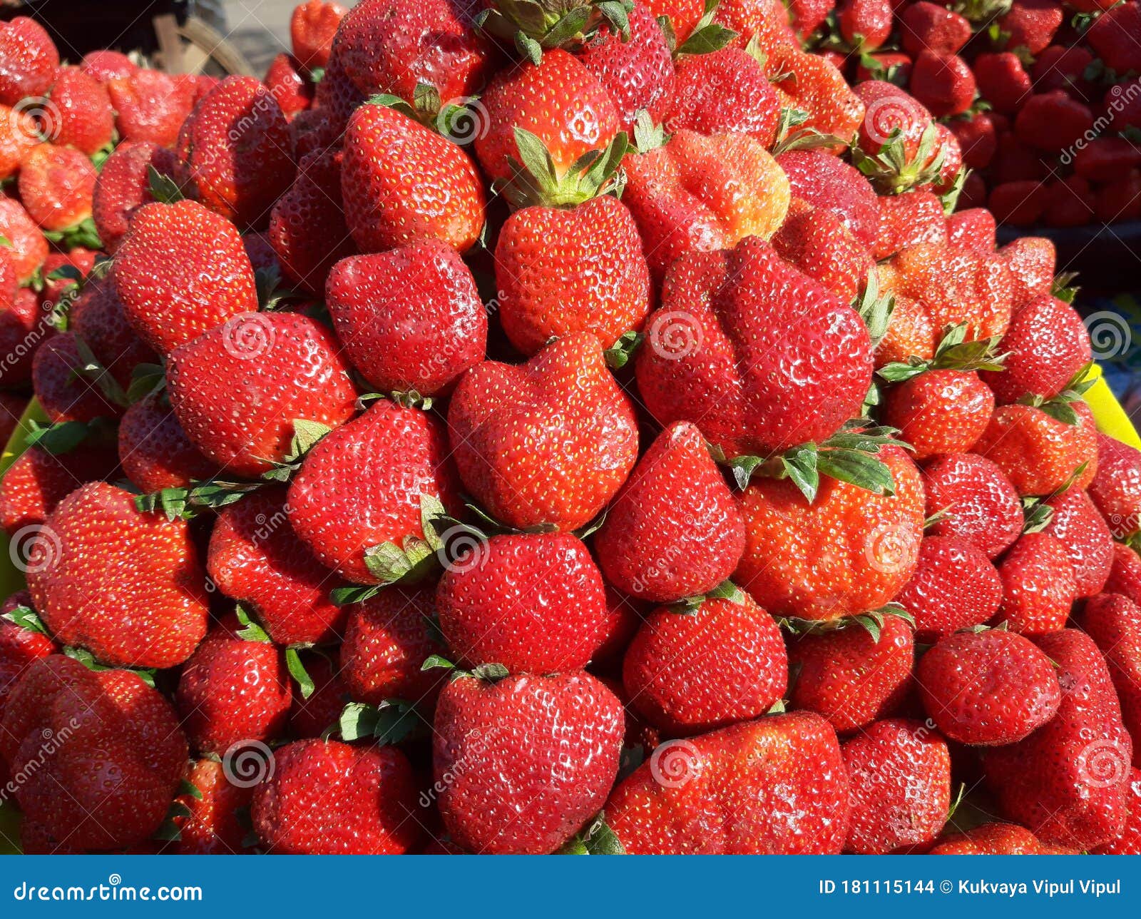 Fresh Strawberries . Fresh, Big Strawberries Stock Photo - Image of ...