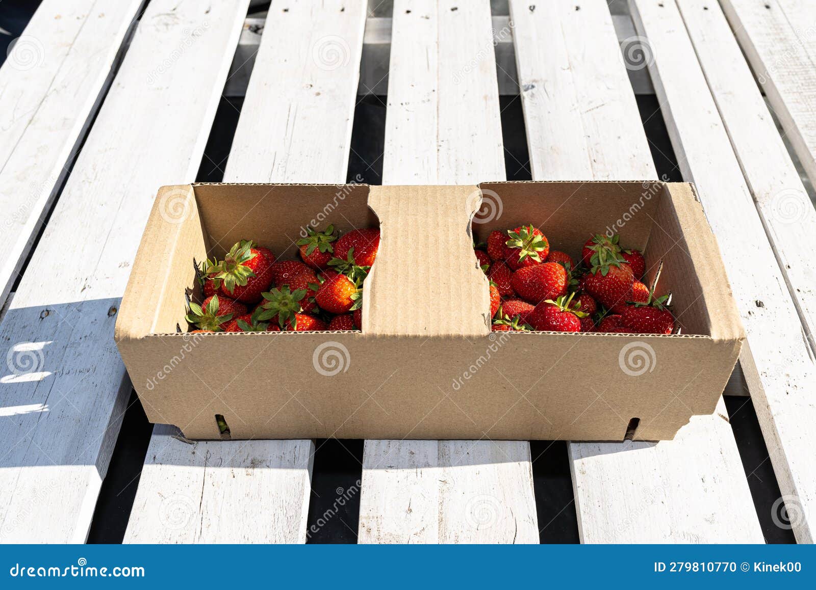 Fresh Strawberries in a Cardboard Basket, Lying on a White Pallet ...
