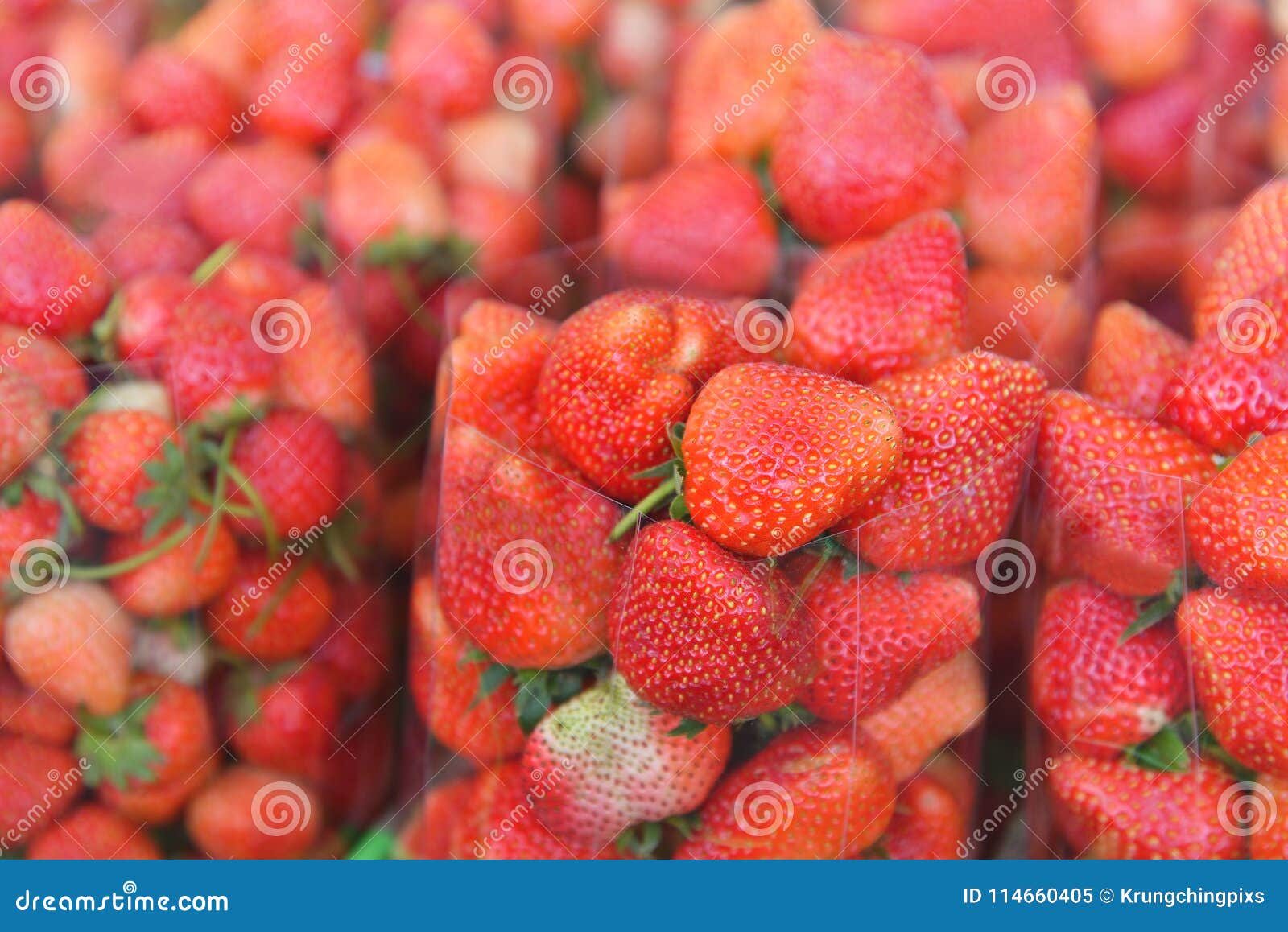Fresh Strawberries Packaging in Plastic Bag. Stock Image - Image of ...