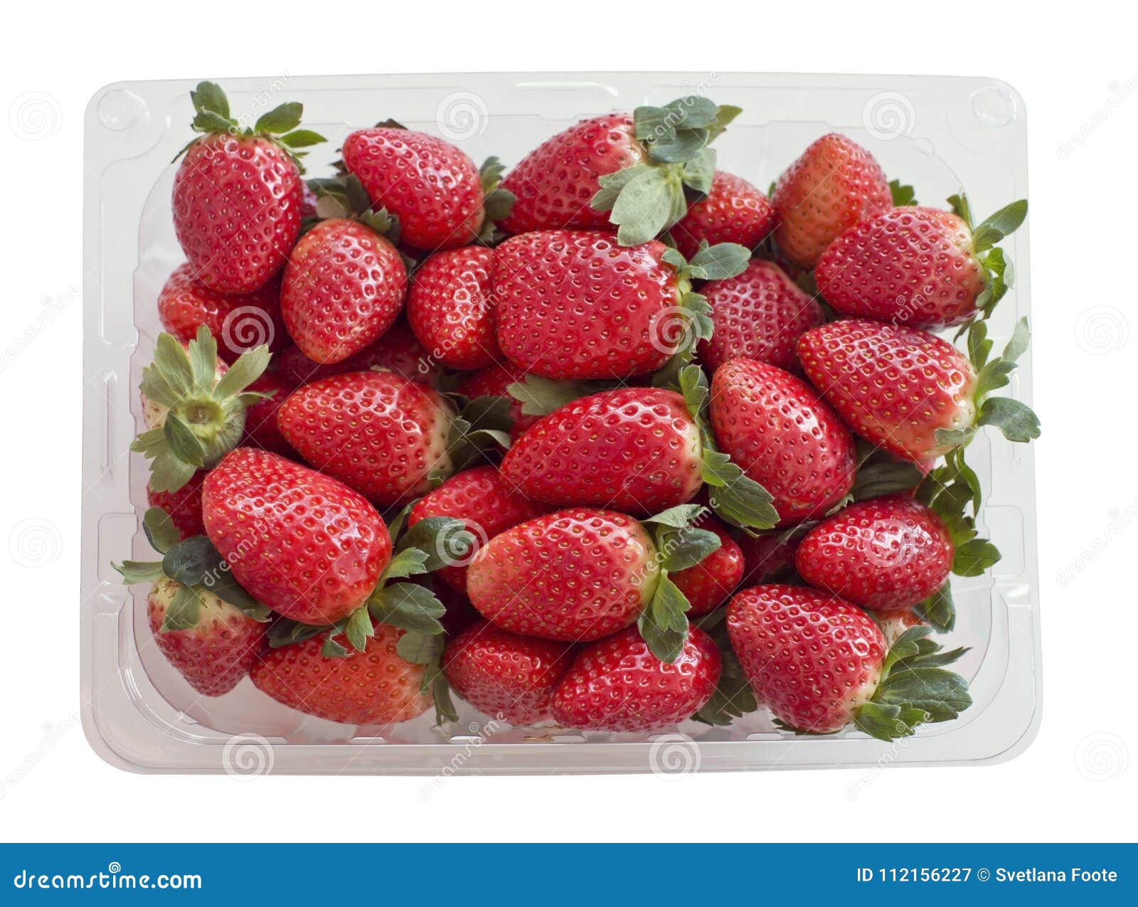 Fresh Strawberries in a Plastic Container Stock Image - Image of snake ...