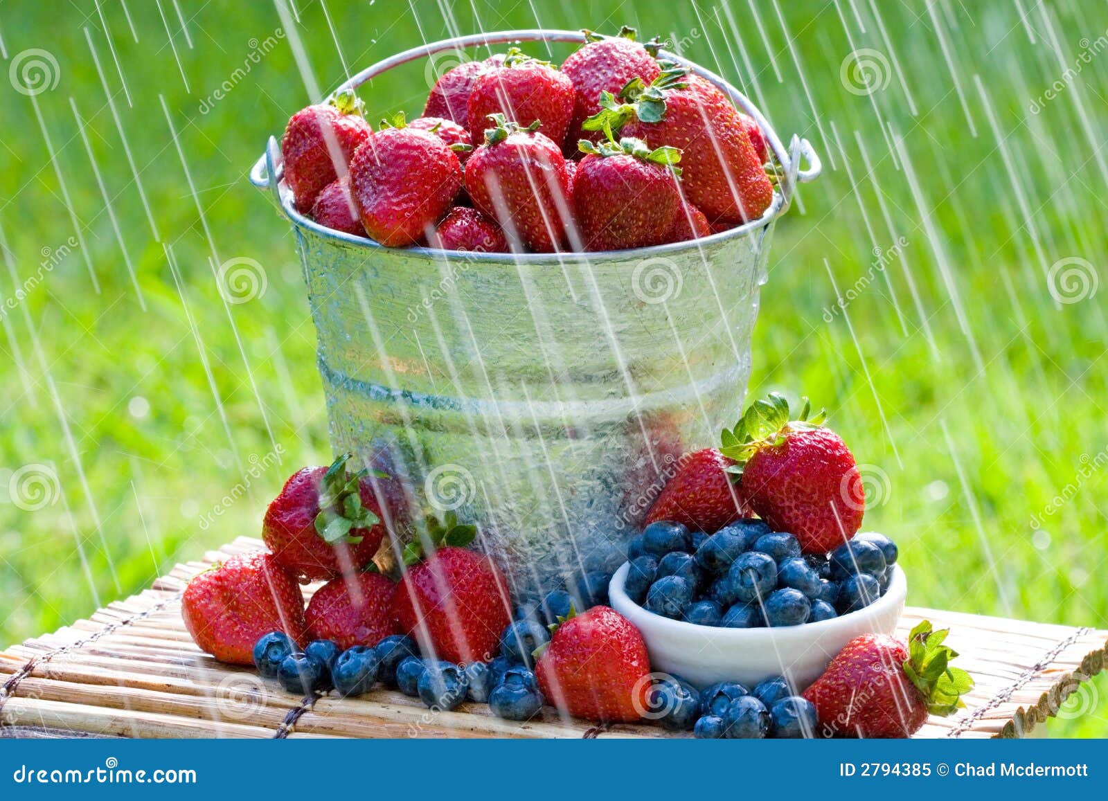 Fresh Strawberries in the Rain Stock Image - Image of bowl, fresh: 2794385
