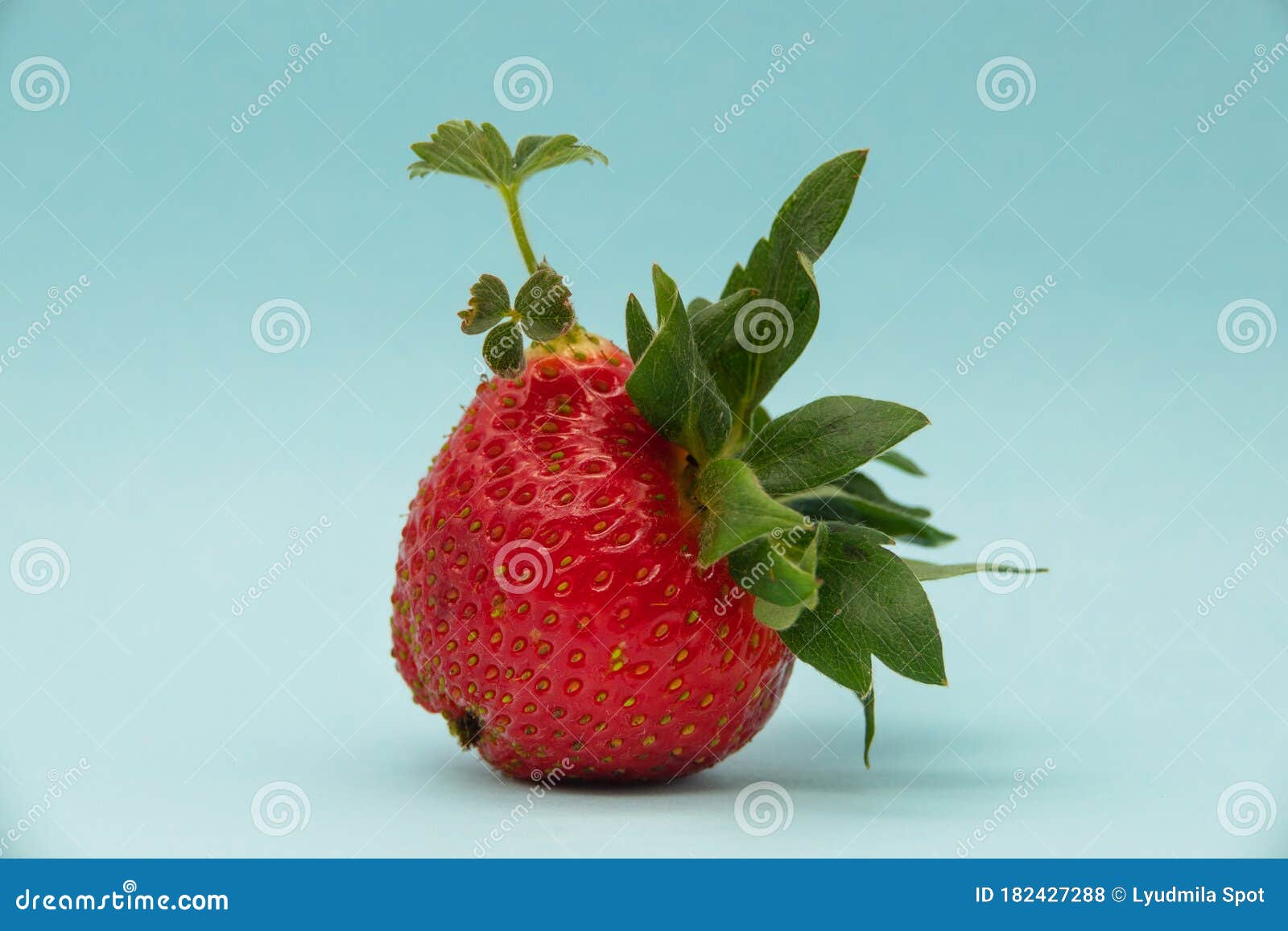 Fresh Strawberries Strange Shape Mutant. Funny Red Fruit Stock Photo ...