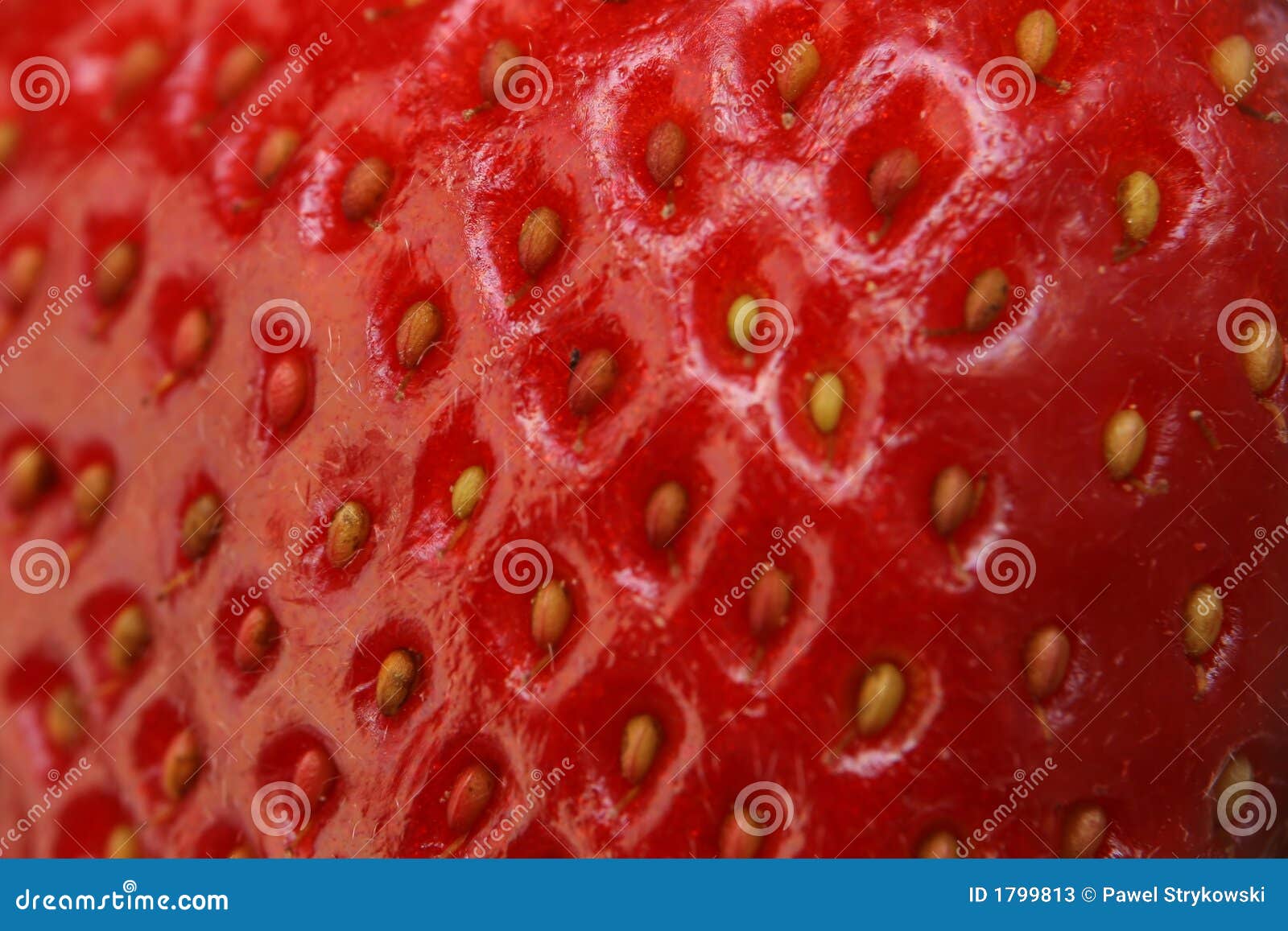 Pip Strawberry Stock Photos - Free & Royalty-Free Stock Photos from ...