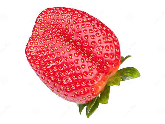 Fresh strawberry stock image. Image of leaf, large, healthy - 22975769