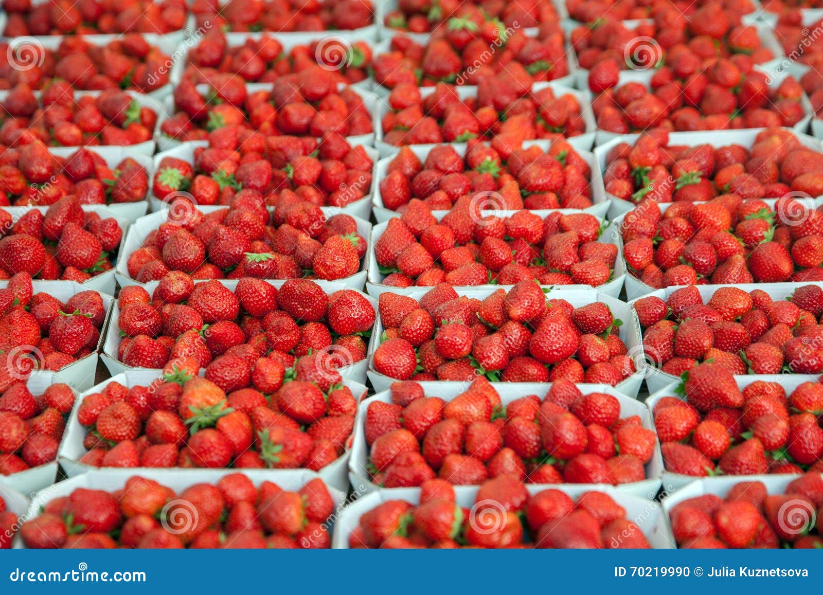 Fresh strawberry in boxes stock photo. Image of harvest - 70219990