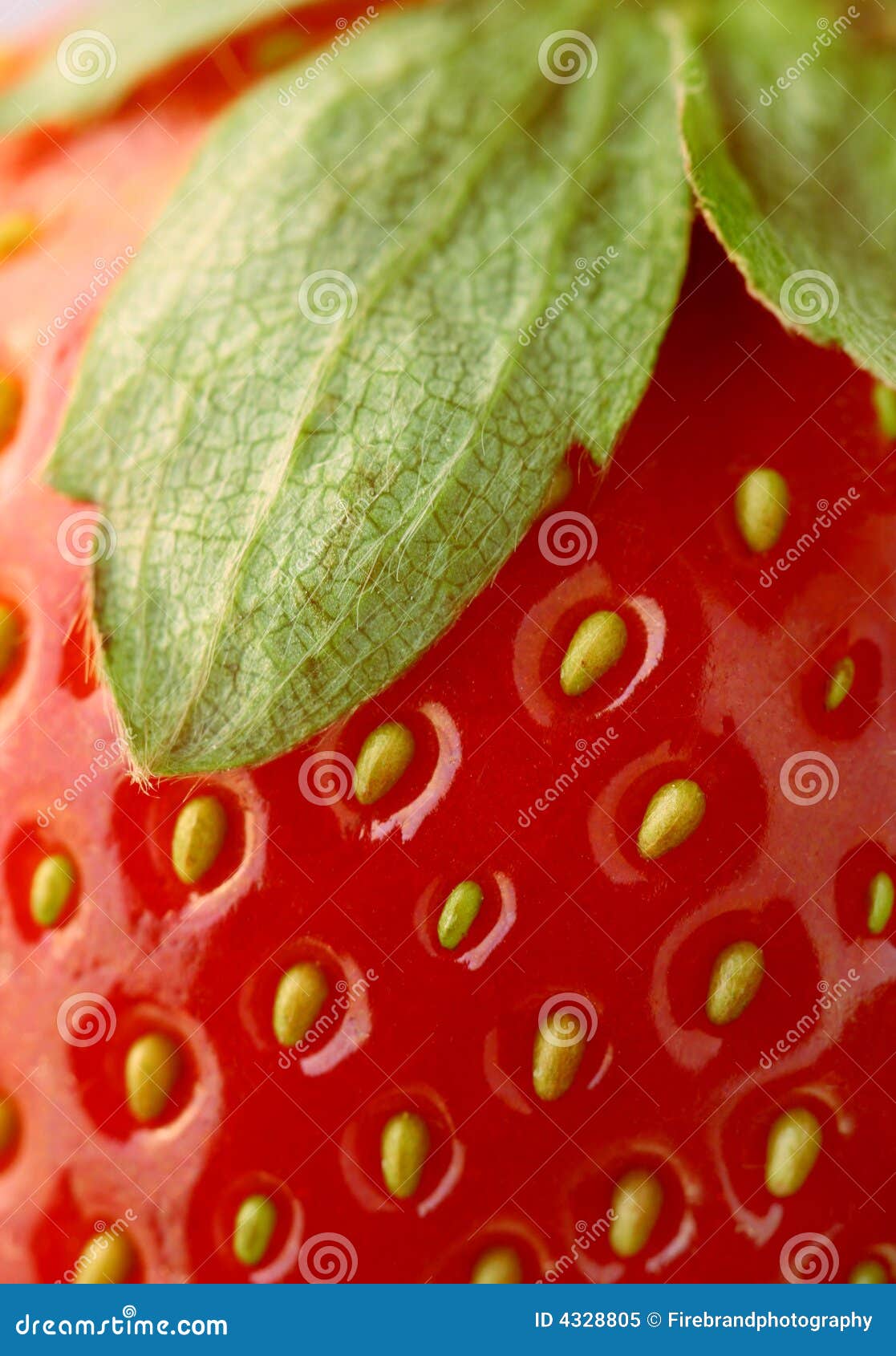 Fresh strawberry - closeup stock image. Image of closeup - 4328805