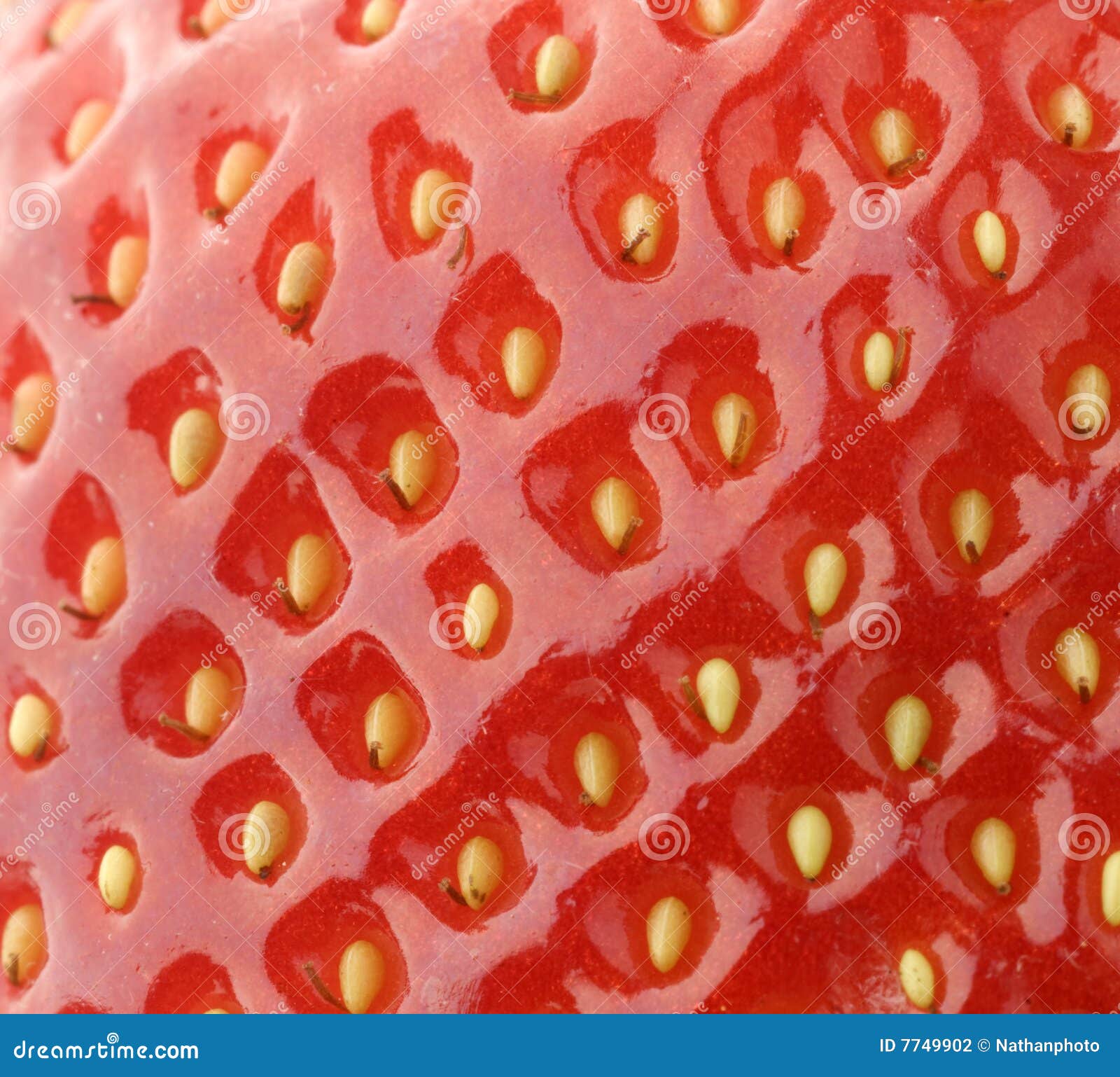 Fresh Strawberry, Extreme Close-up Stock Photo - Image of ripe, savory ...