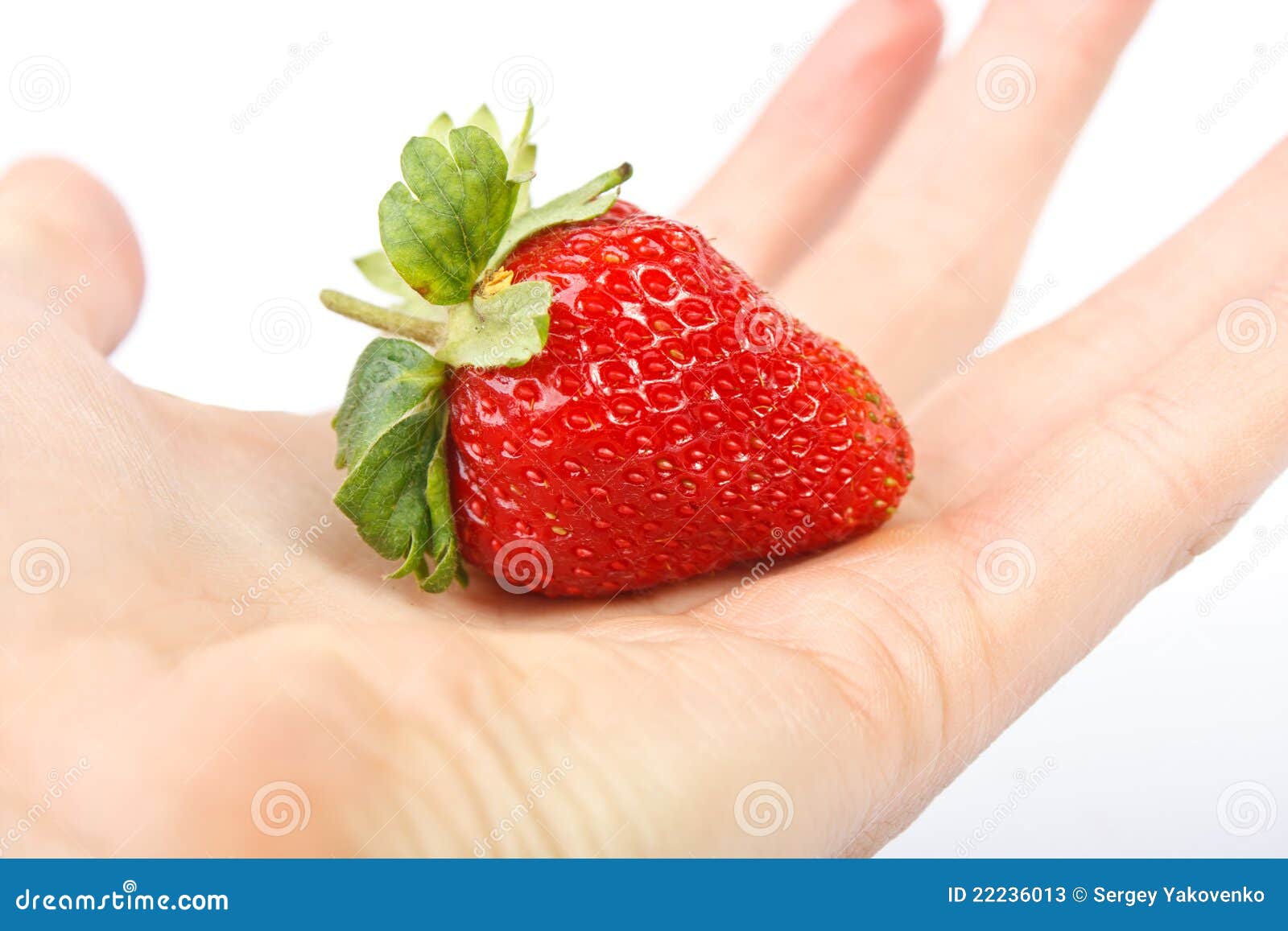 Fresh strawberry in hand stock image. Image of leaf, group - 22236013