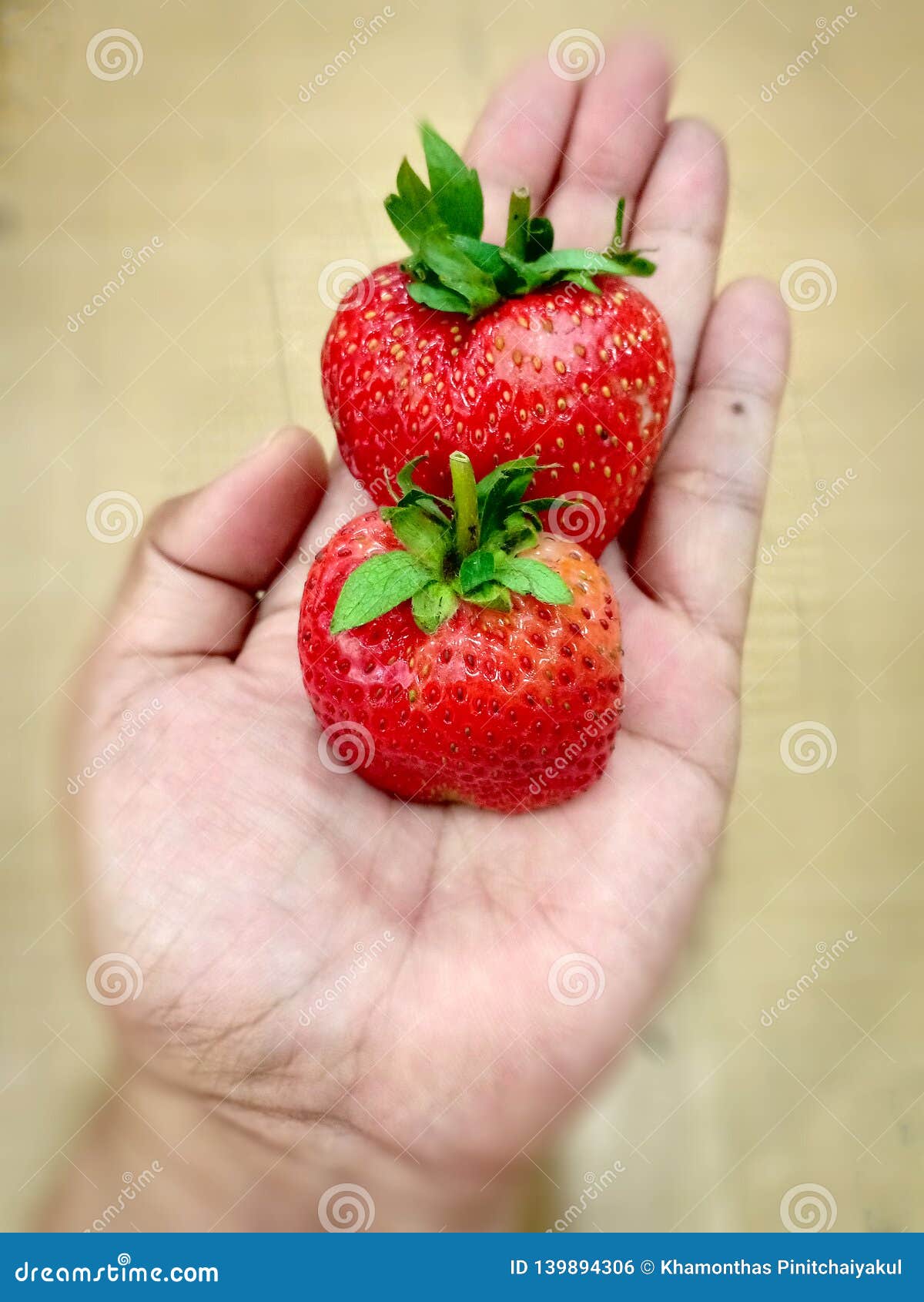 Fresh strawberry in hand stock photo. Image of fresh - 139894306
