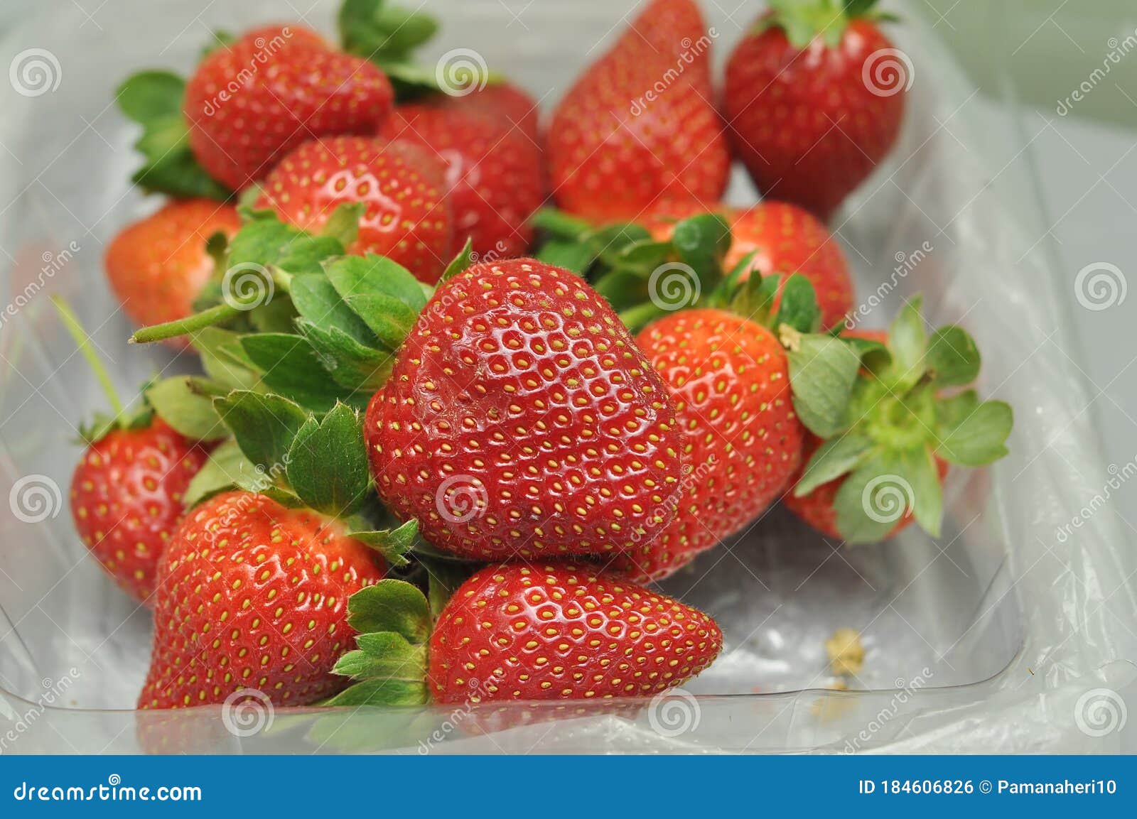Fresh Strawberry at Nature Farm Stock Photo - Image of berry, diet ...