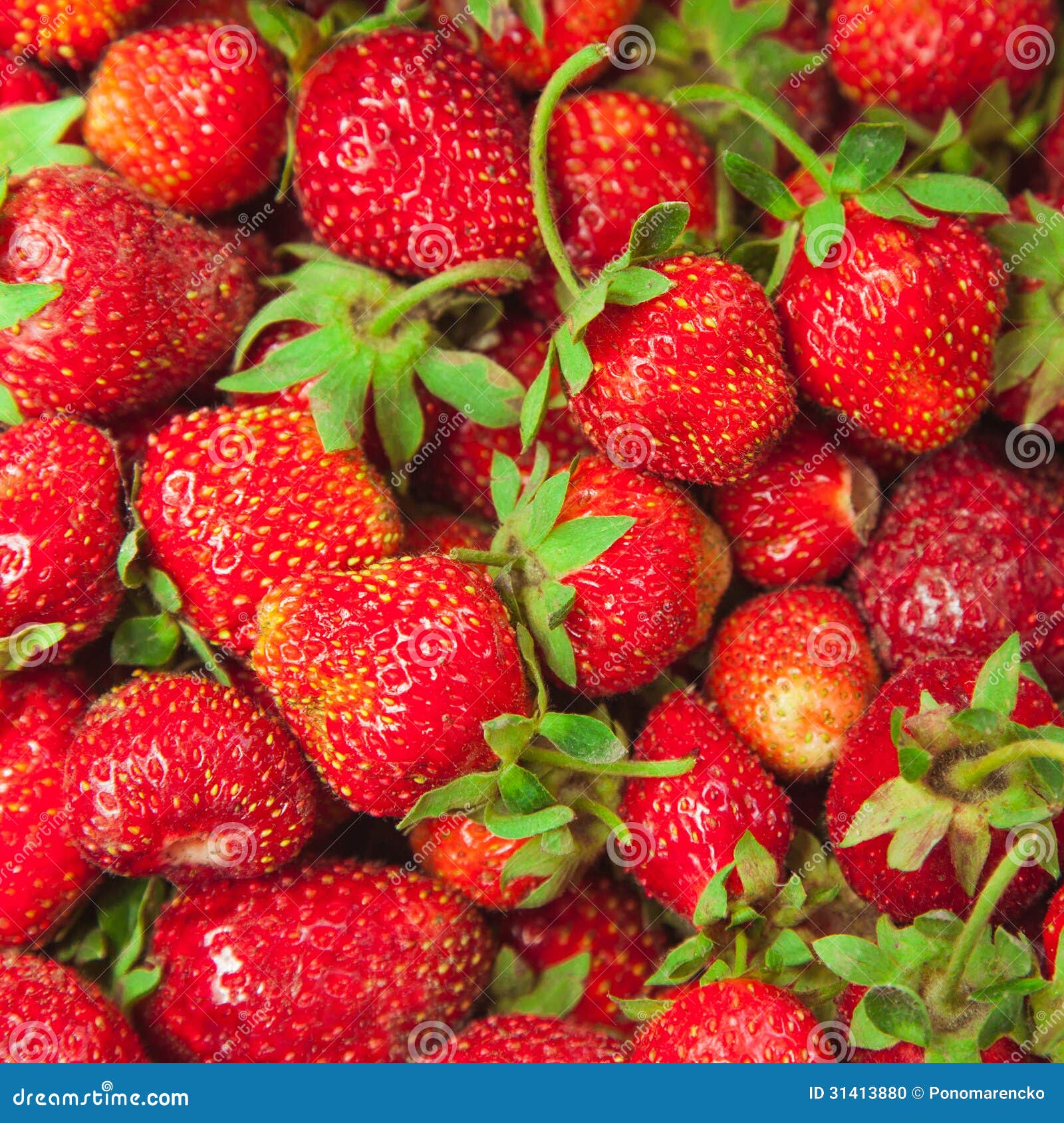 Fresh strawberry stock photo. Image of green, multi, full - 31413880
