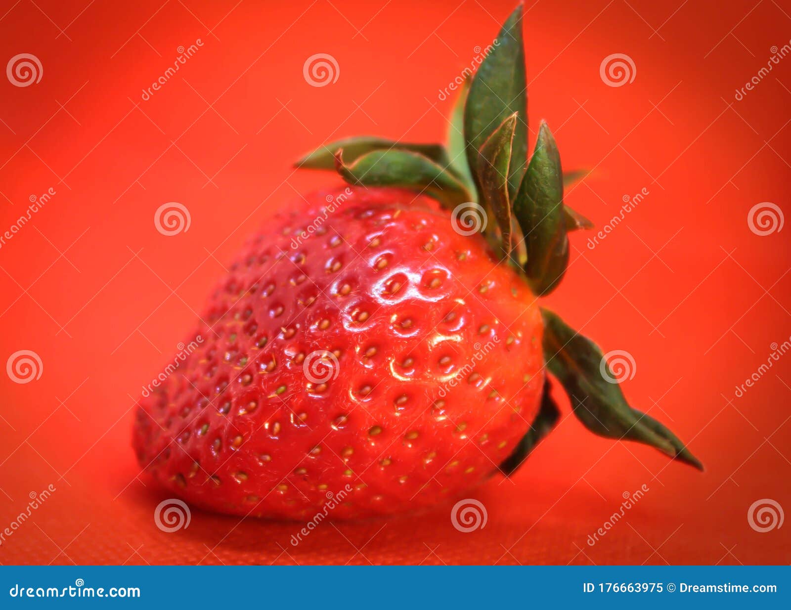 Fresh Strawberry on Red Background Stock Image - Image of color ...