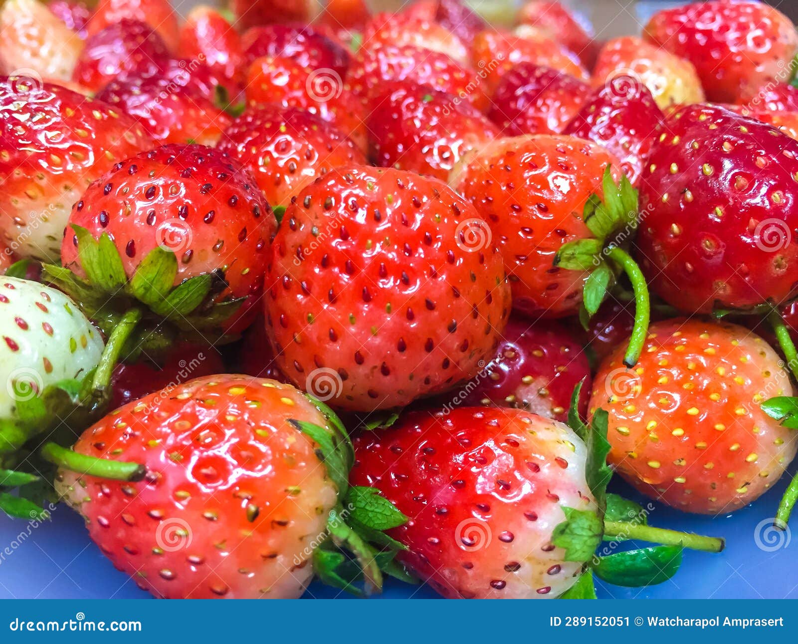 Fresh strawberry stock image. Image of background, close - 289152051