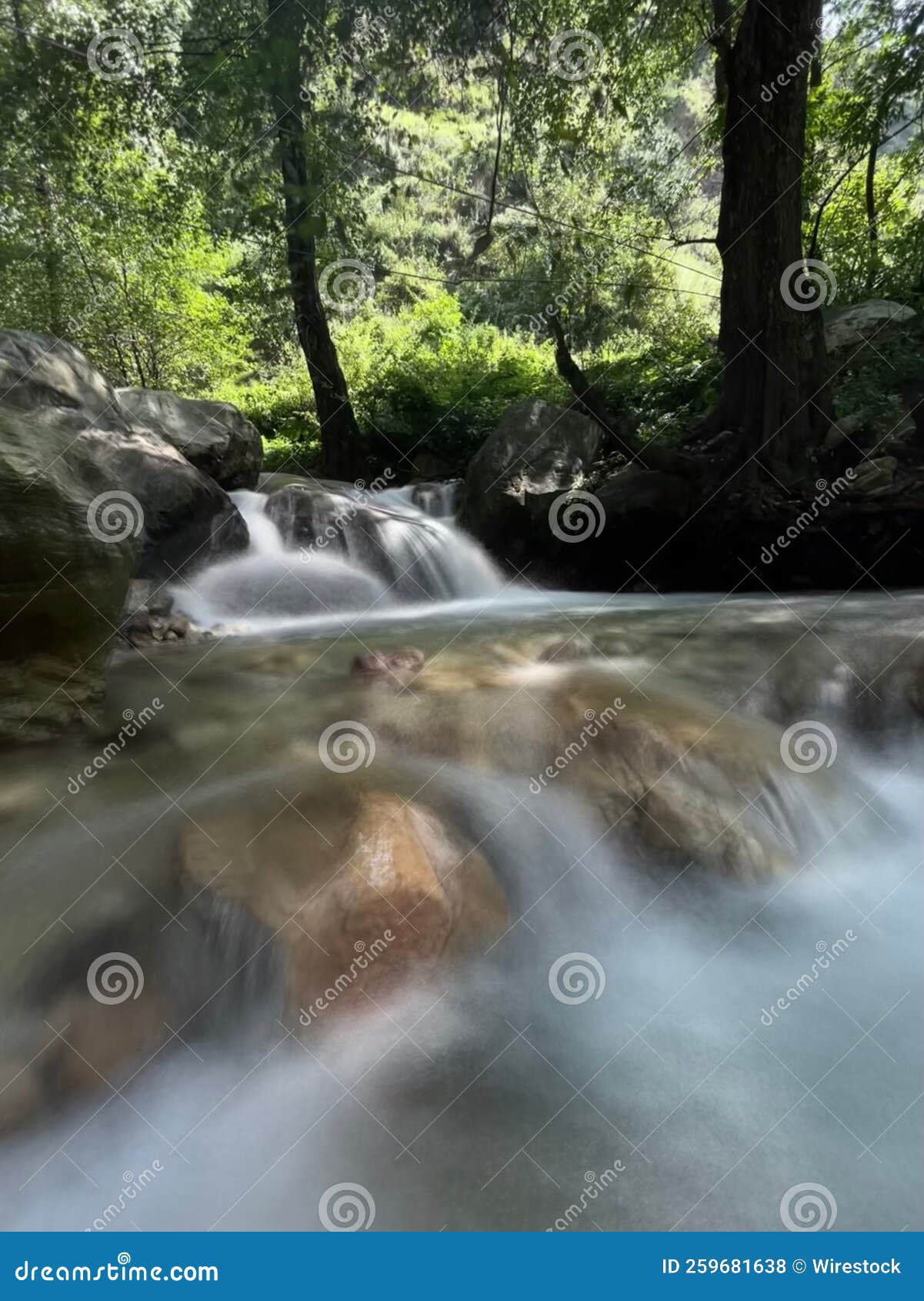 Fresh Stream Flowing Down the Rocks Surrounded by Trees Stock Photo ...