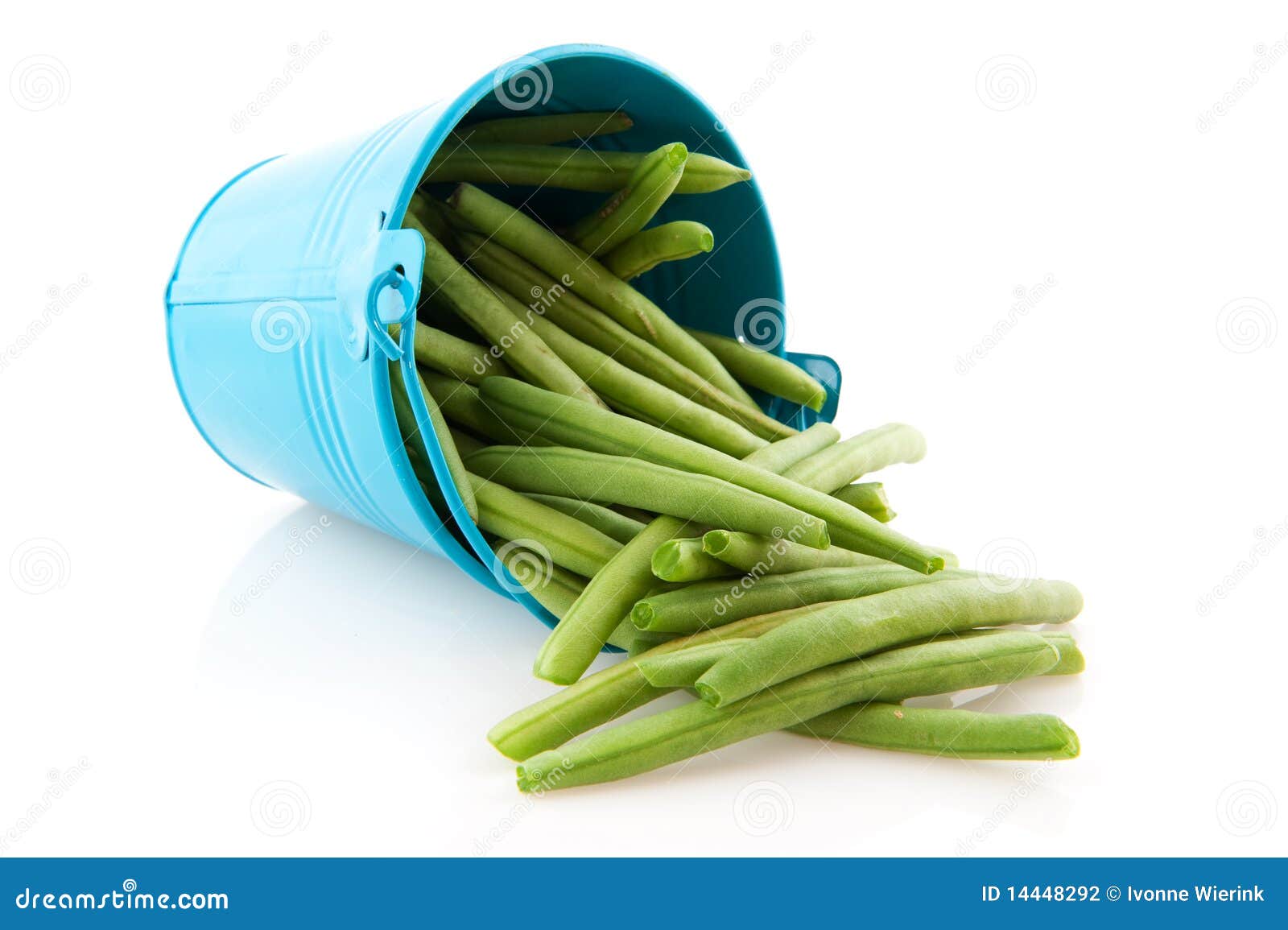 Fresh string beans stock photo. Image of bucket, white - 14448292