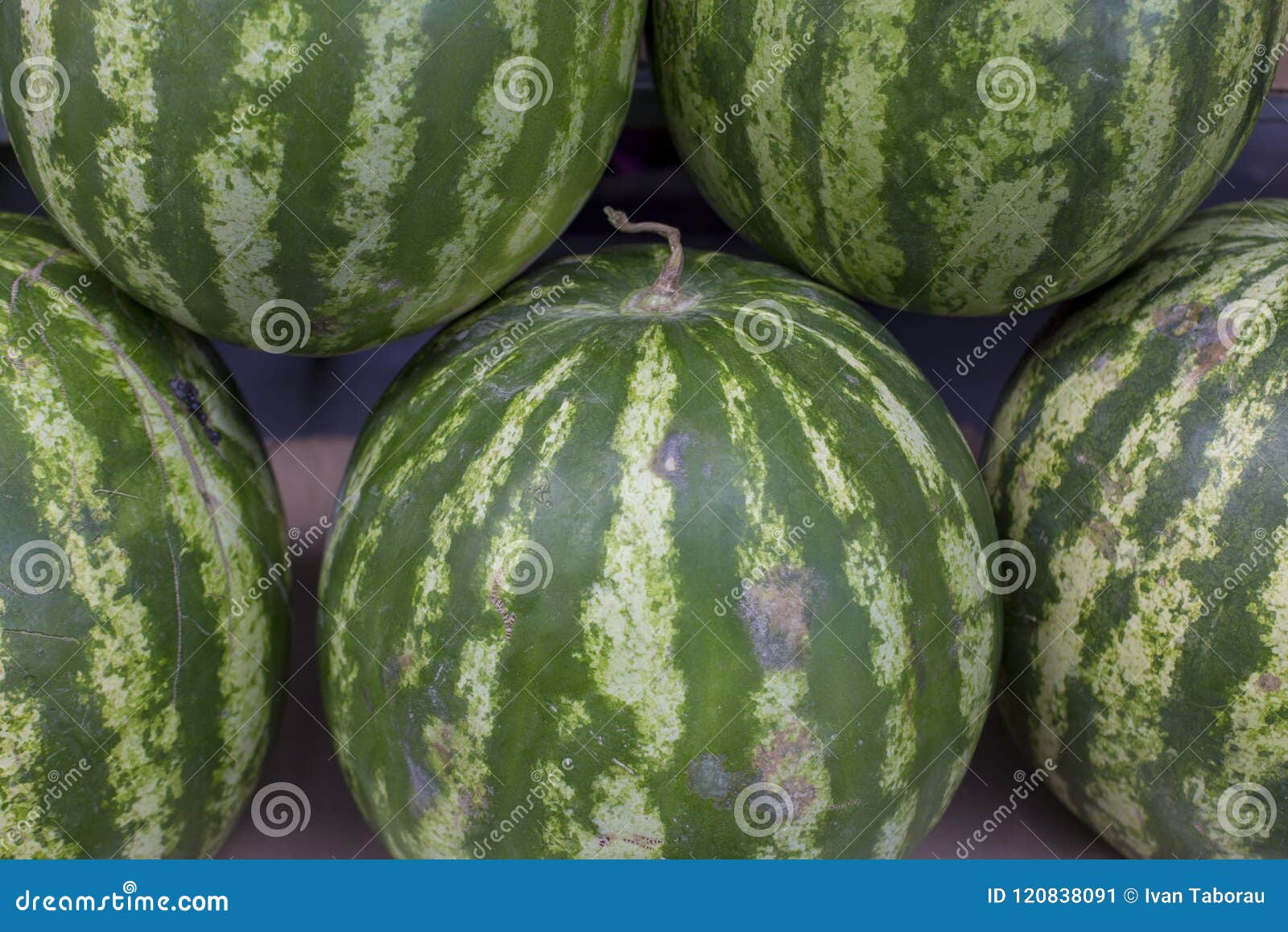 Fresh Stripes on Watermelon Abstract Fruit Colorful Pattern Texture ...