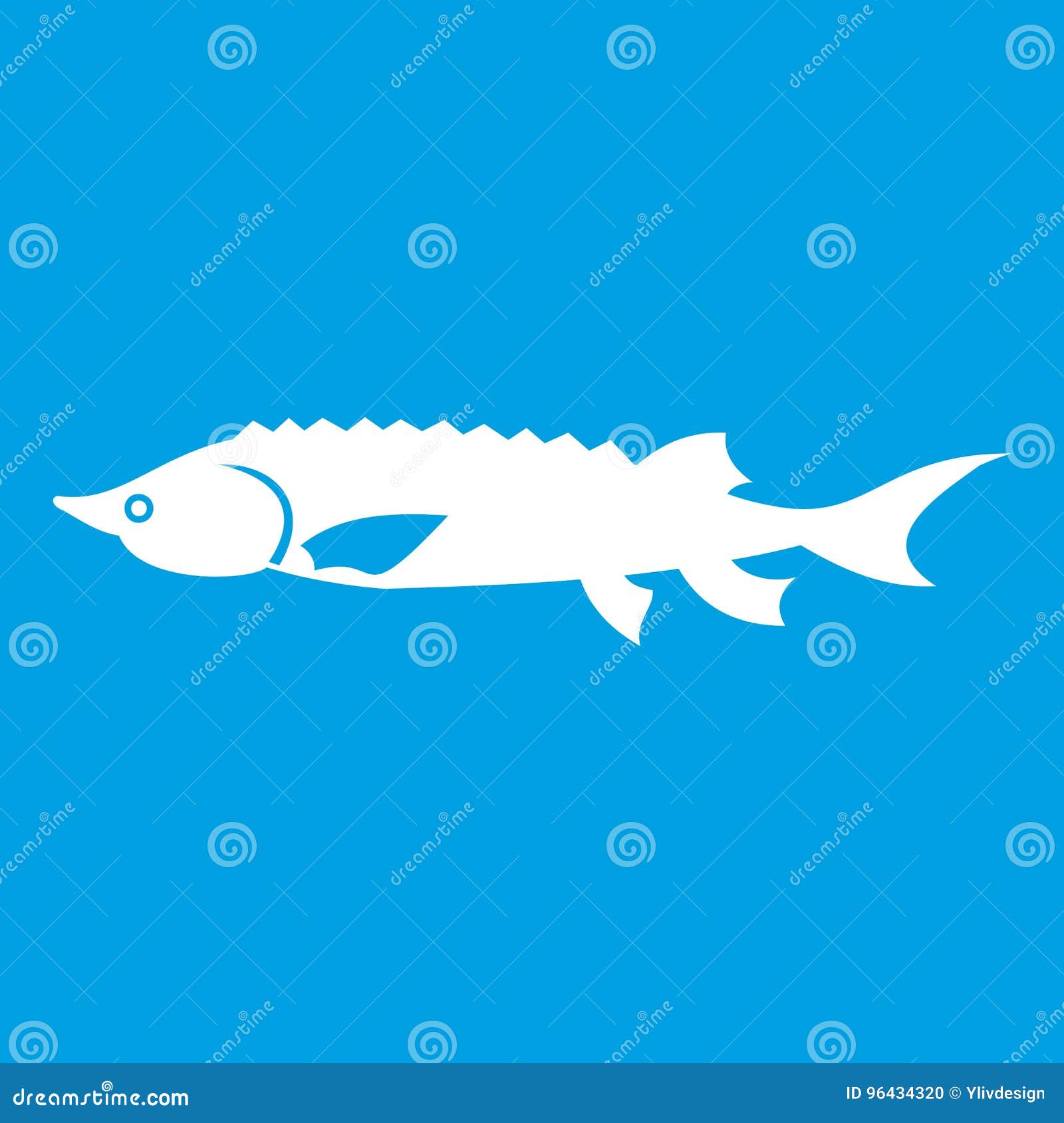 Fresh Sturgeon Fish Isolated On White Background Royalty-Free Stock ...