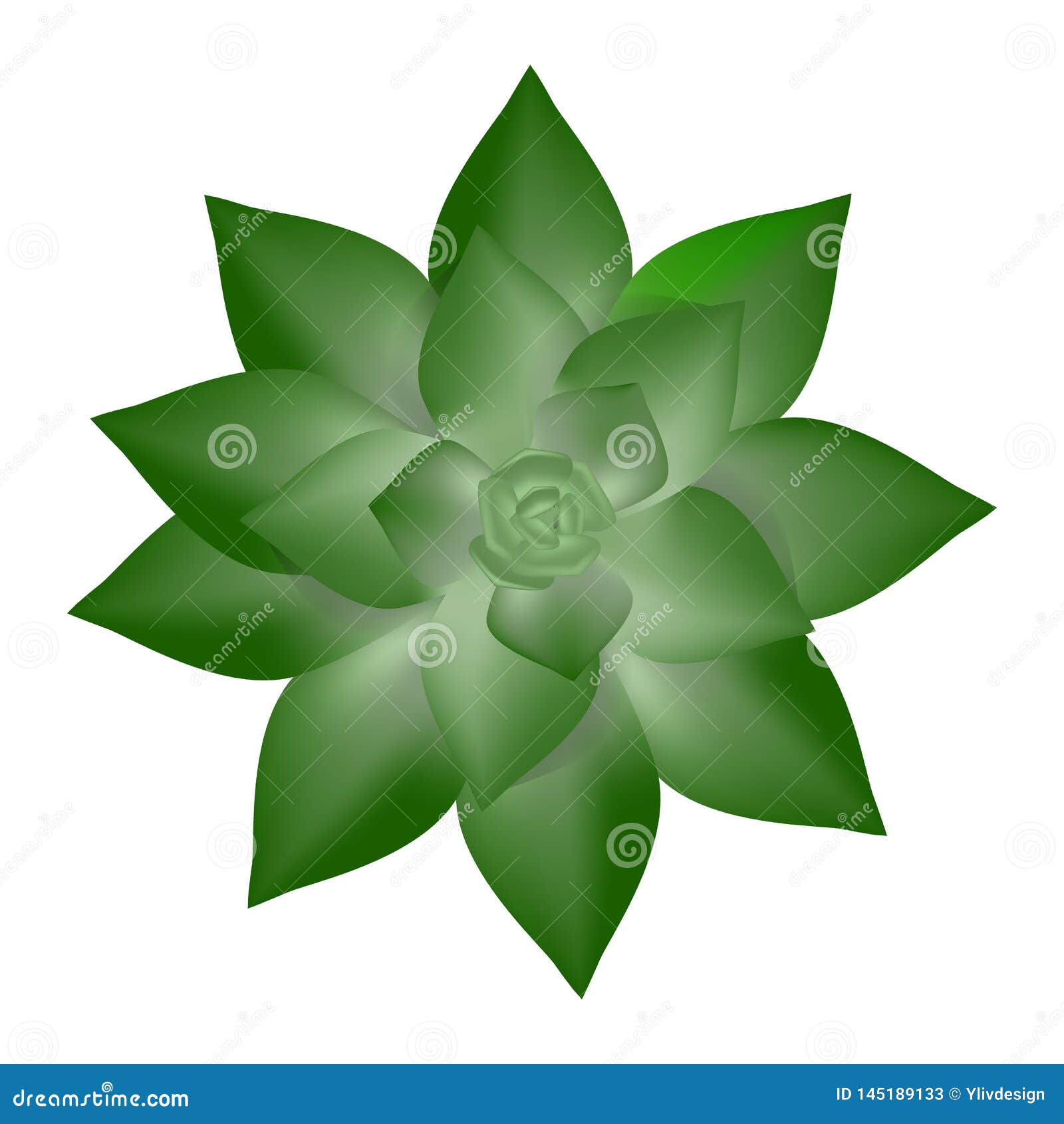 Fresh Succulent Icon, Realistic Style Stock Vector - Illustration of ...