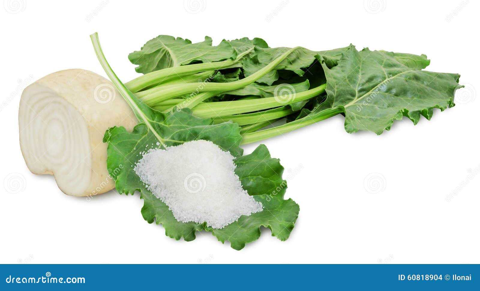 Fresh Sugar Beet with Leaves. Stock Photo - Image of sugar, object ...