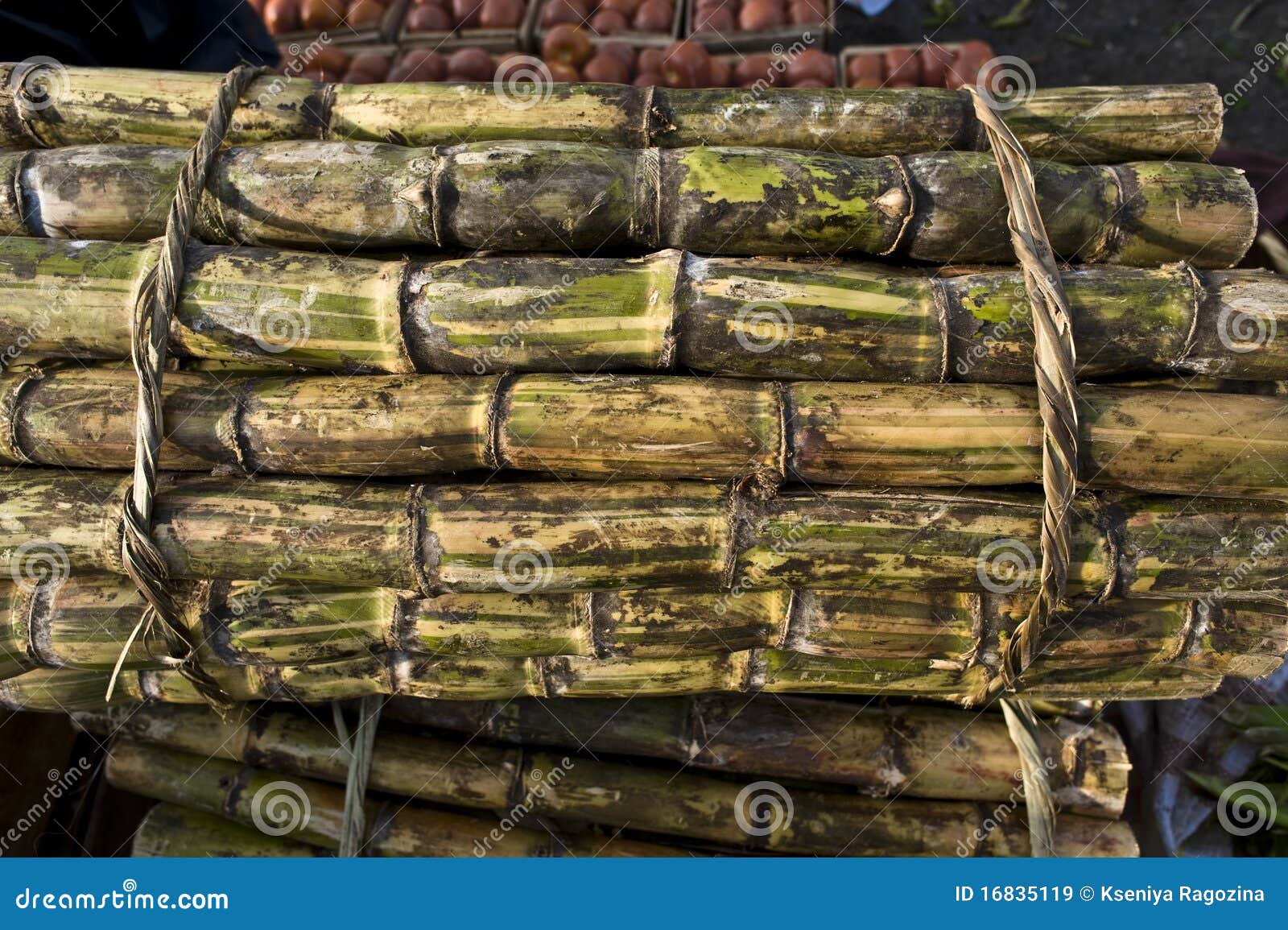 Fresh Sugar Cane Texture Stock Photography | CartoonDealer.com #330488948