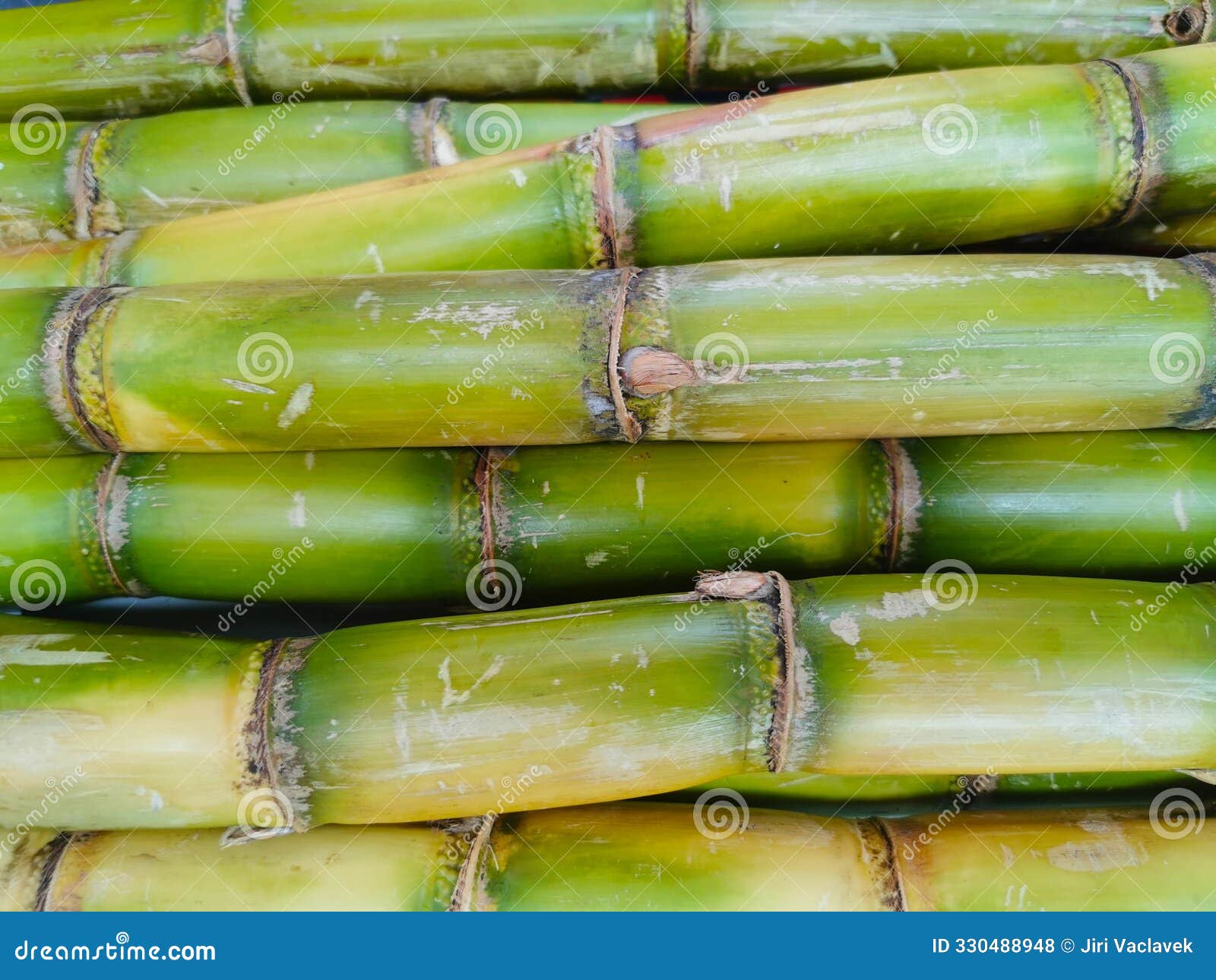 Cane Texture With The Background Sun Stock Photo | CartoonDealer.com ...
