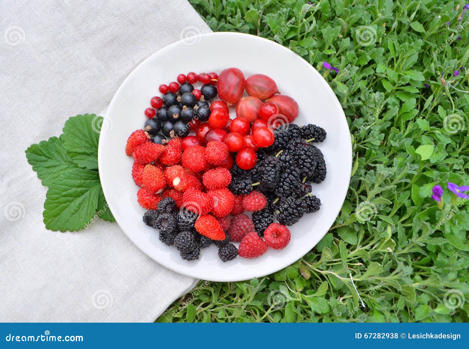 Fresh summer berries stock photo. Image of isolated, blackberry - 67282938