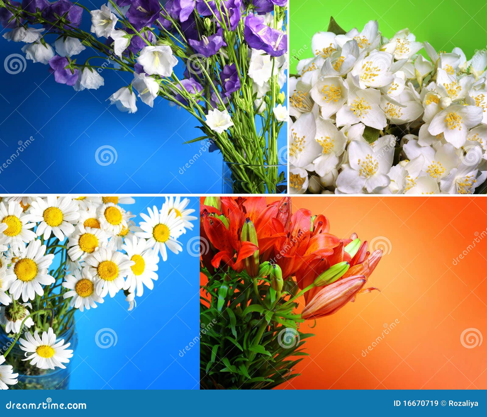 Fresh summer flowers stock image. Image of aroma, feminine - 16670719