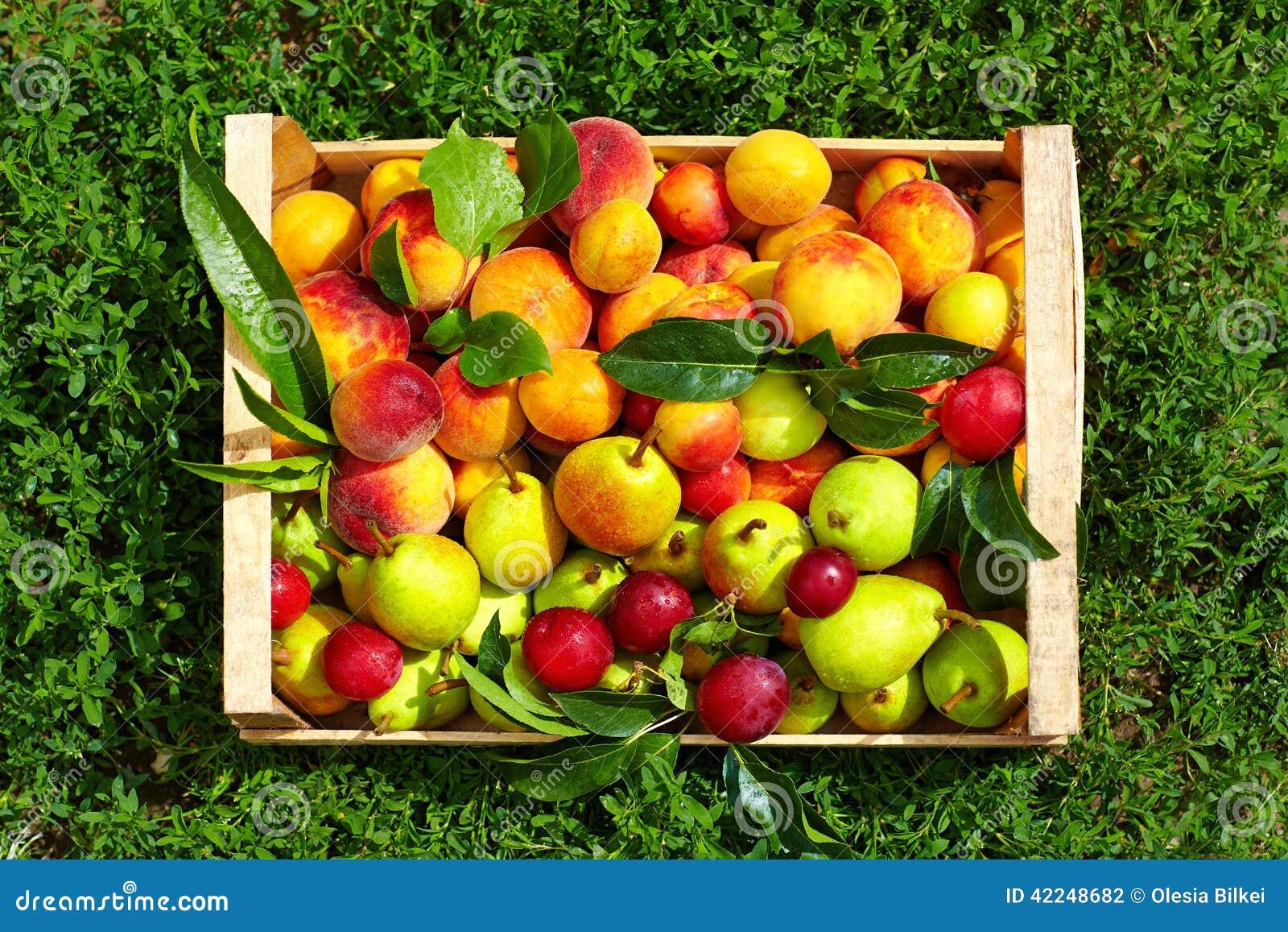 Fresh Summer Fruit in Crate on Grass Stock Photo - Image of appetizer ...