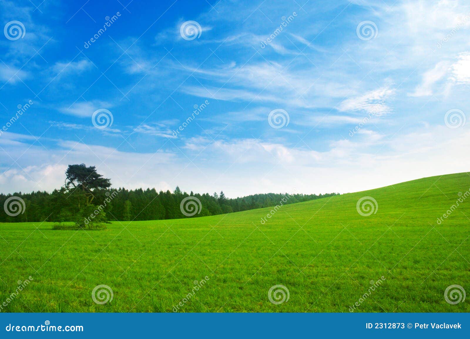 Fresh summer landscape stock image. Image of colorful - 2312873