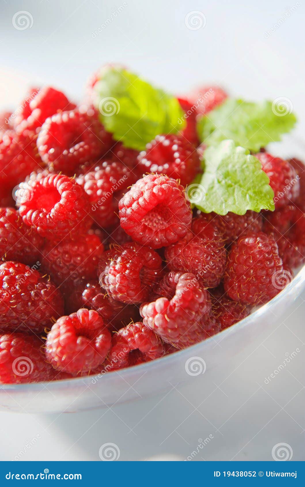 Fresh Sunny Raspberries Closeup Stock Photo - Image of leaf, heap: 19438052