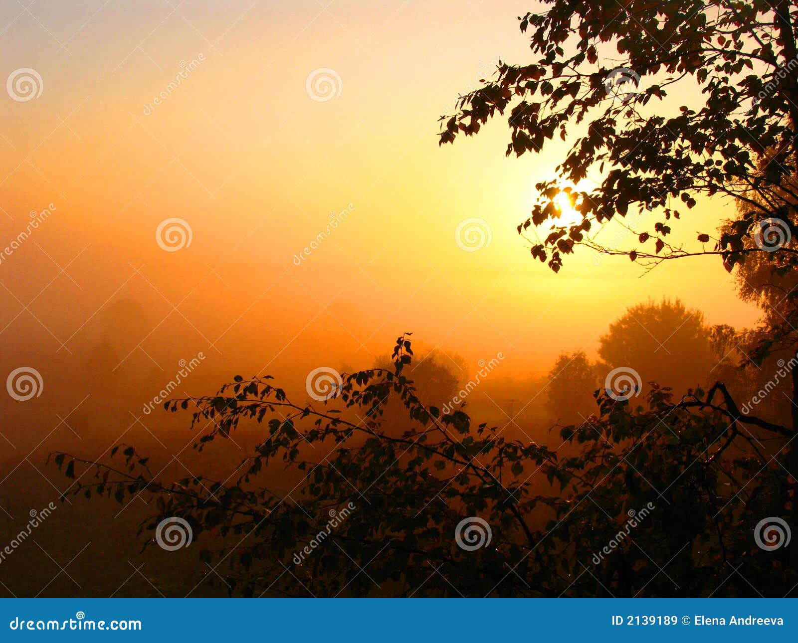 Fresh sunrise stock image. Image of sunshine, tranquility - 2139189