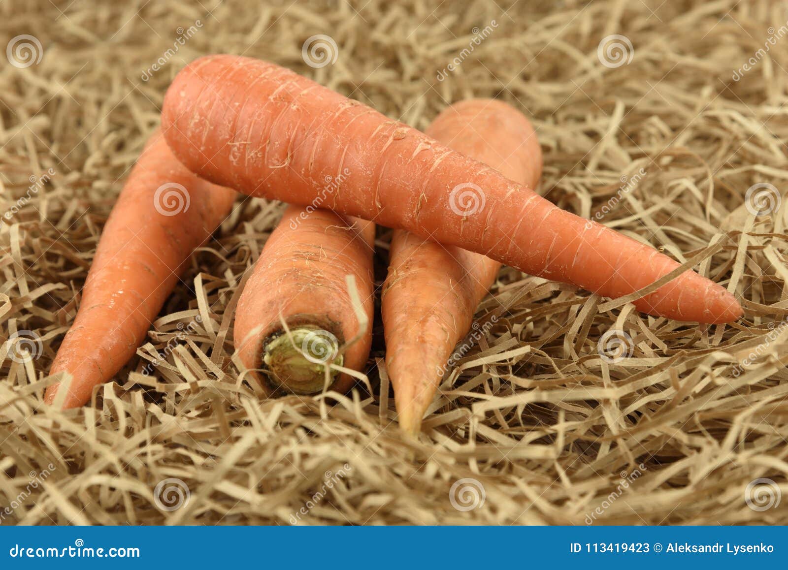 Fresh and Sweet Carrot. Vegetable on a Hay Straw Grass Stock Image ...