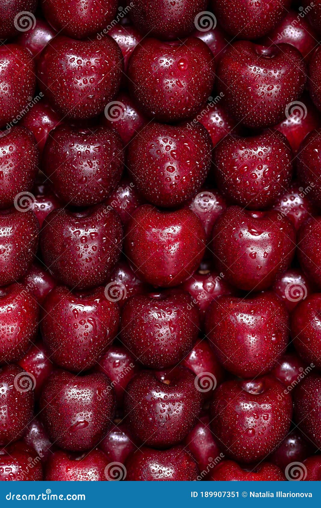 Fresh Sweet Cherry. Creative Art Pattern Wallpaper Stock Image - Image ...