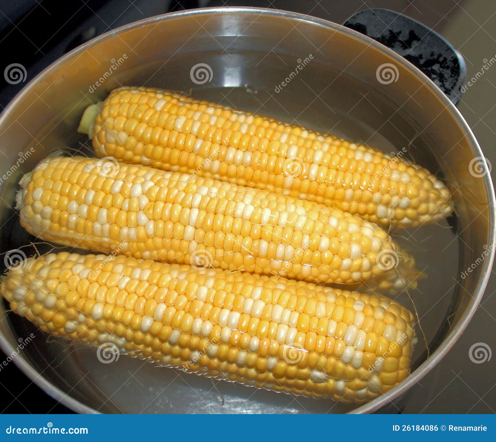 Fresh Sweet Corn stock photo. Image of healthy, husked - 26184086