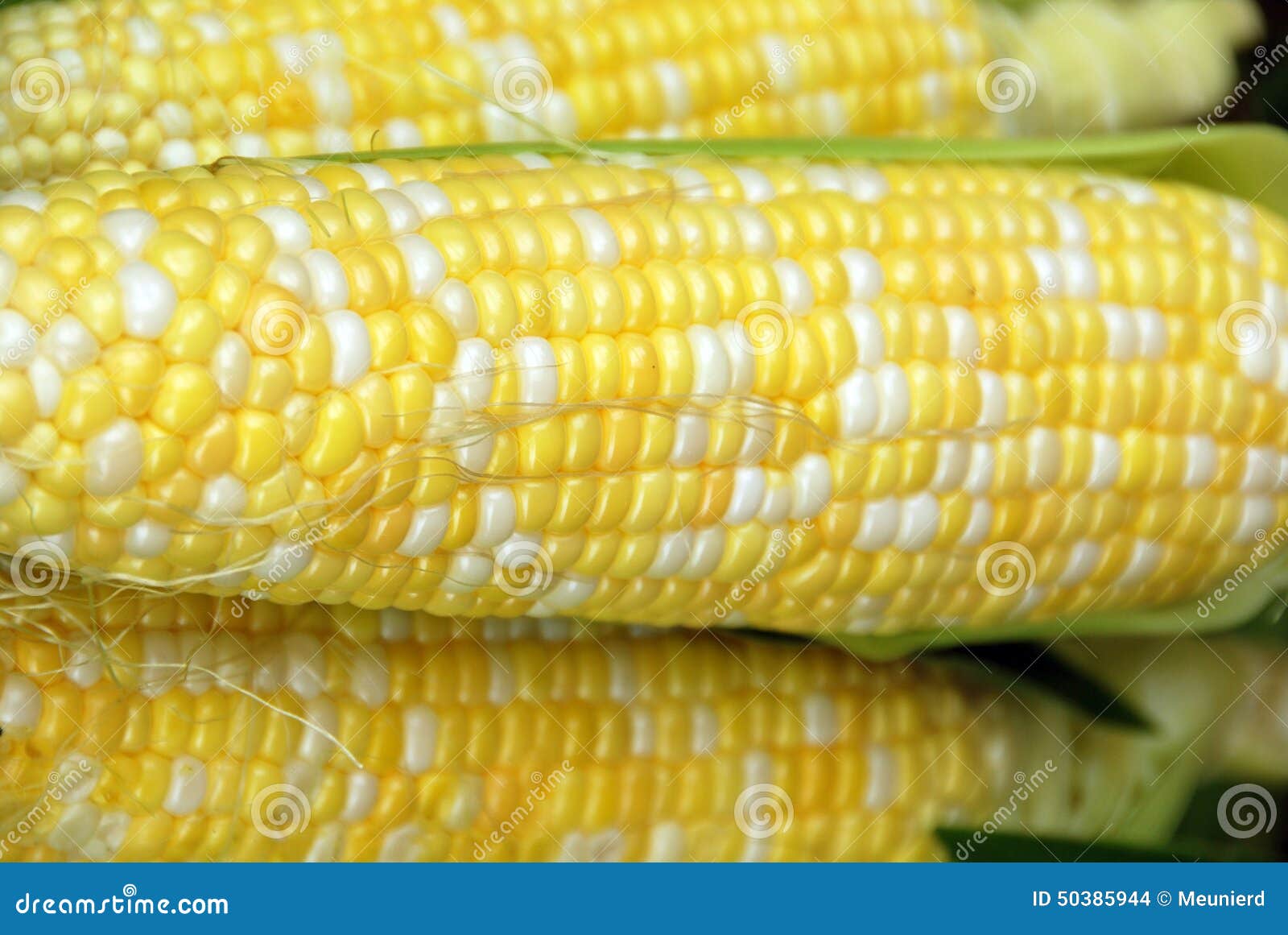 Fresh sweet corn stock photo. Image of basket, healthy - 50385944