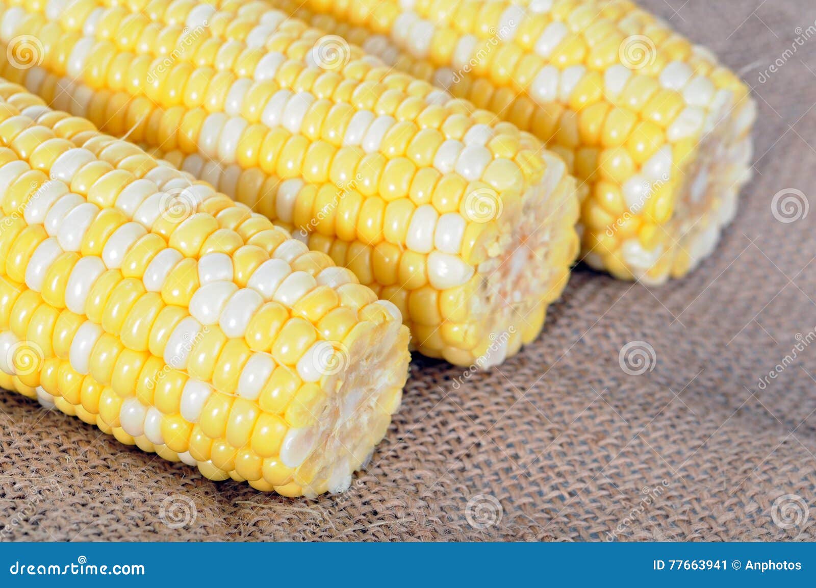 Fresh sweet corn stock image. Image of ripe, maize, cereal - 77663941