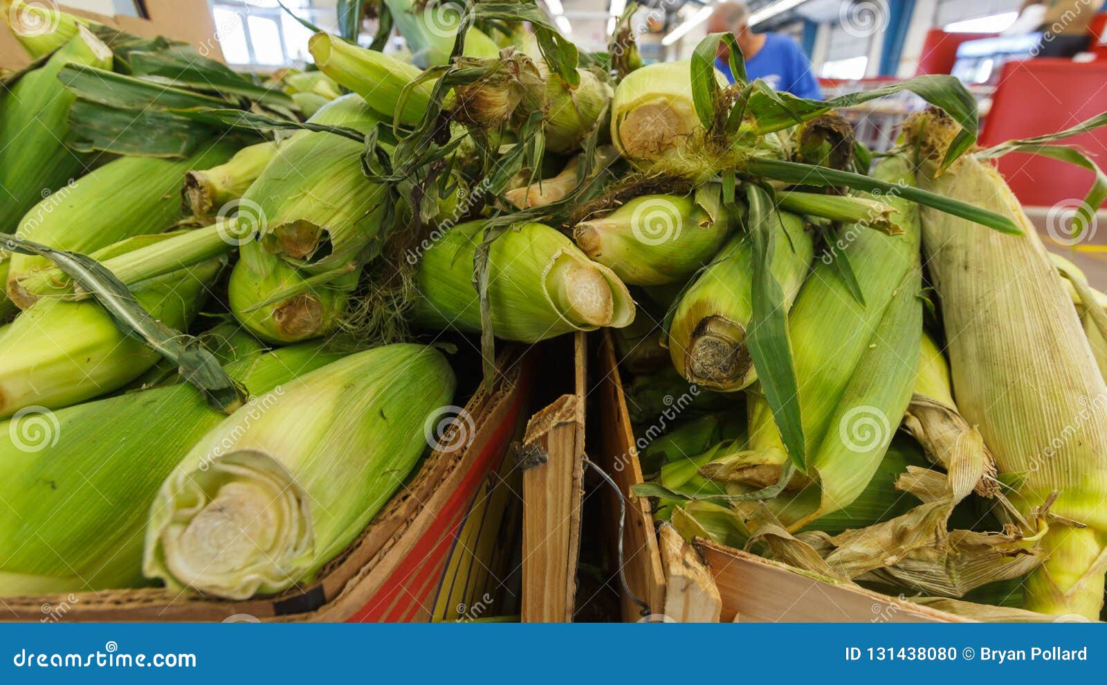 Fresh Sweet Corn stock photo. Image of market, yellow - 131438080