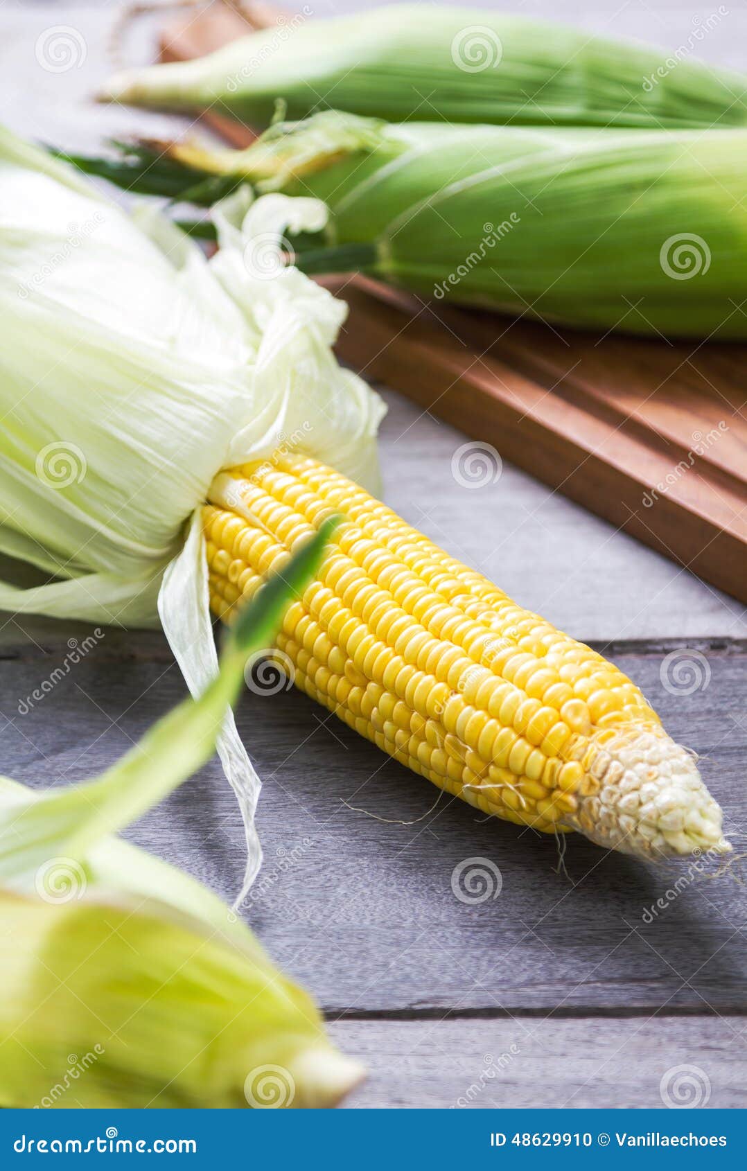 Fresh sweet corn stock photo. Image of kernels, yellow - 48629910