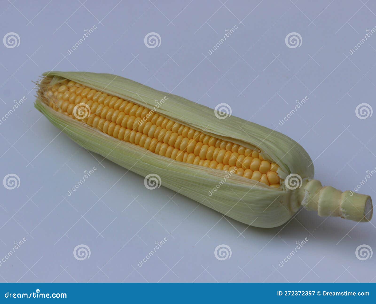 Fresh Sweet Corn Vegetable Isolated Stock Image - Image of isolated ...