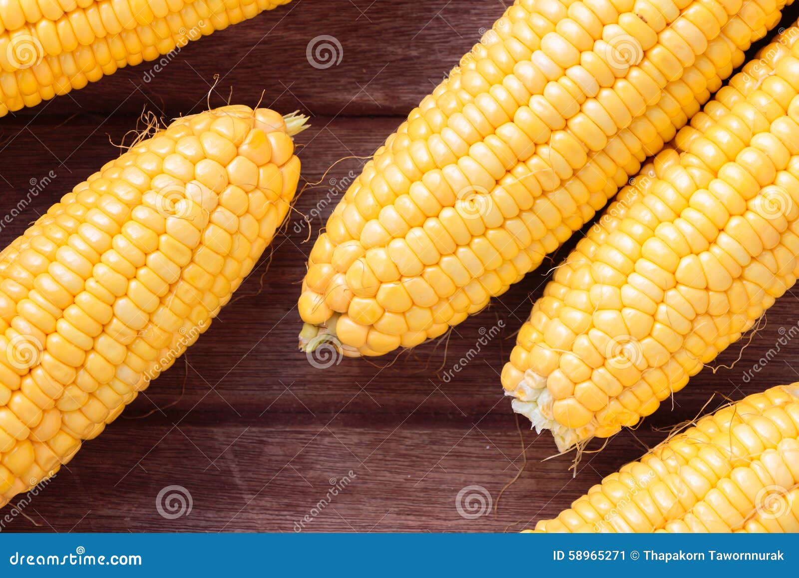 Fresh sweet corn stock image. Image of corn, green, harvest - 58965271