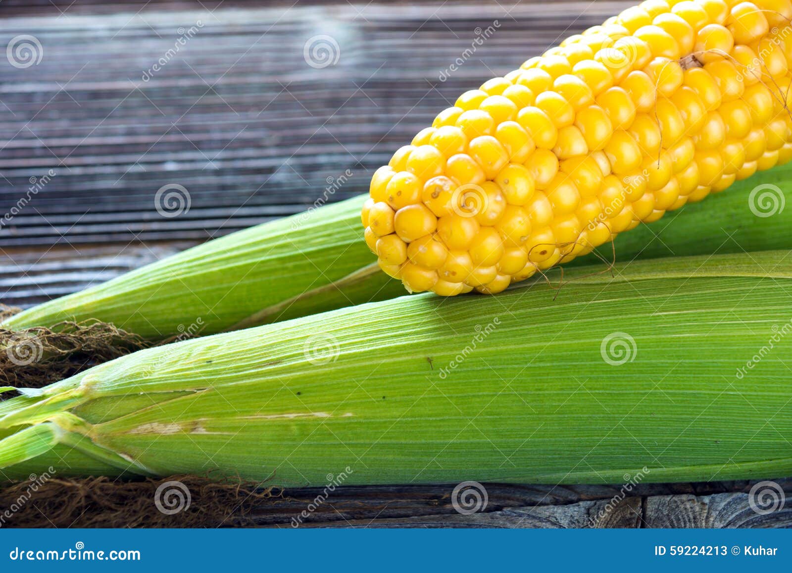 Fresh sweet corn stock image. Image of crop, style, focus - 59224213