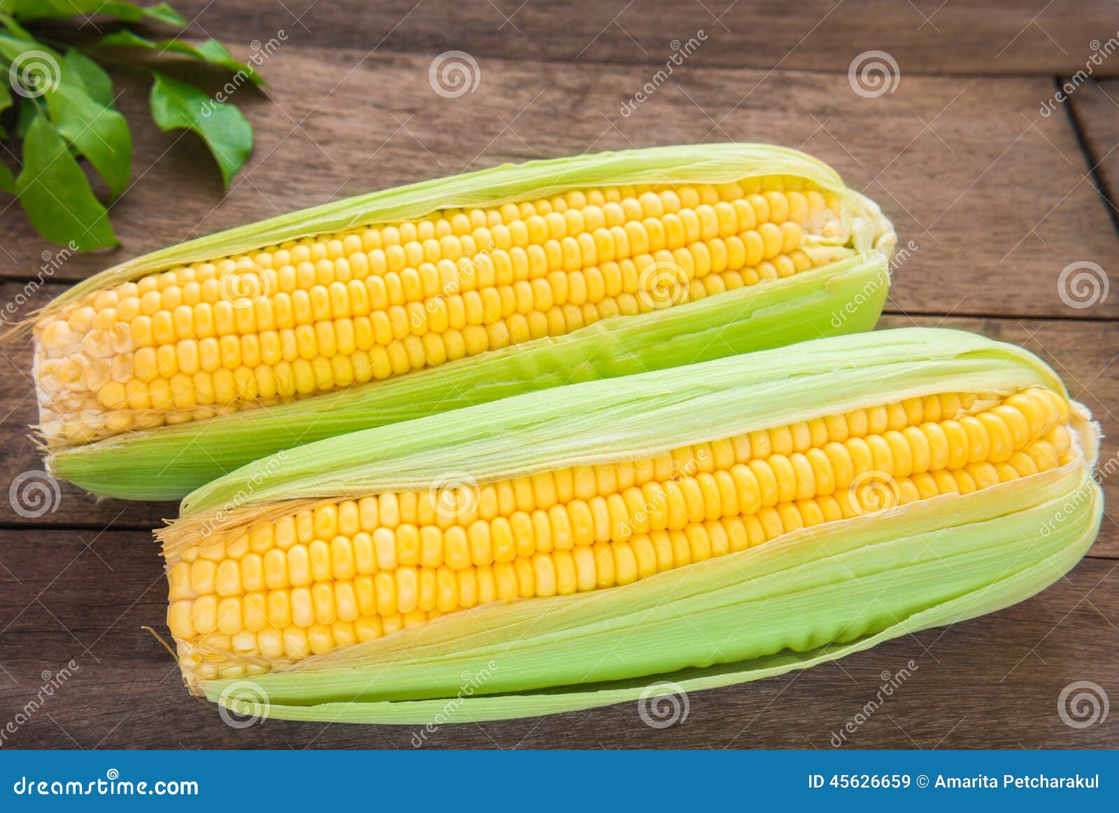 Fresh Sweet Corn on Wooden Table Stock Image - Image of nutrition ...