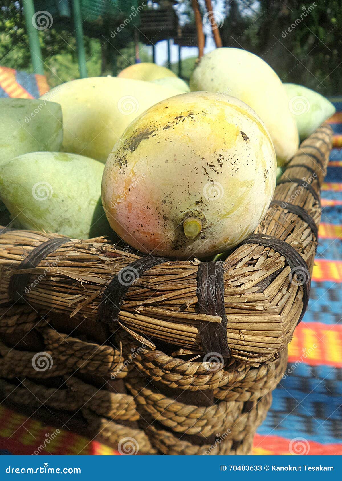 Fresh Sweet Mango in Basket Stock Image - Image of mango, basket: 70483633