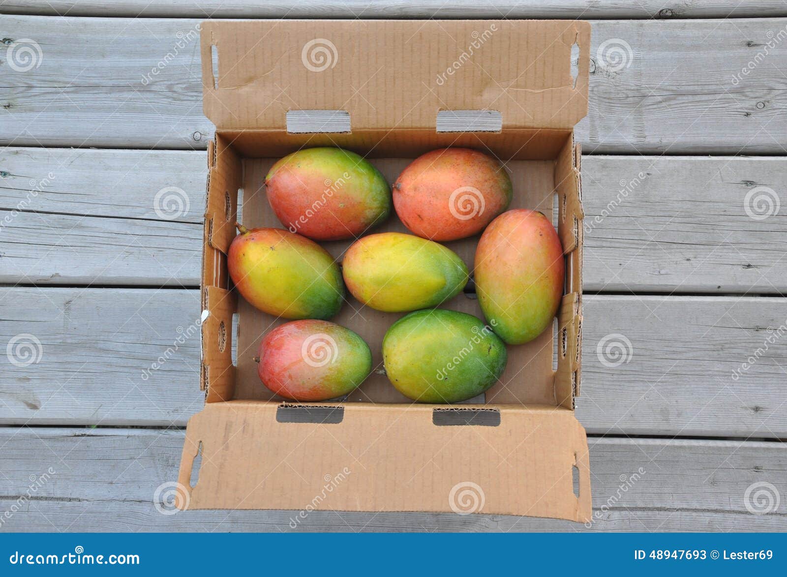 Fresh sweet mangoes stock image. Image of food, farm - 48947693