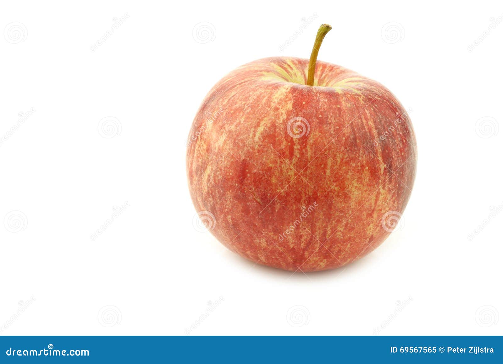 Fresh sweet small apples stock image. Image of fuji, water - 69567565