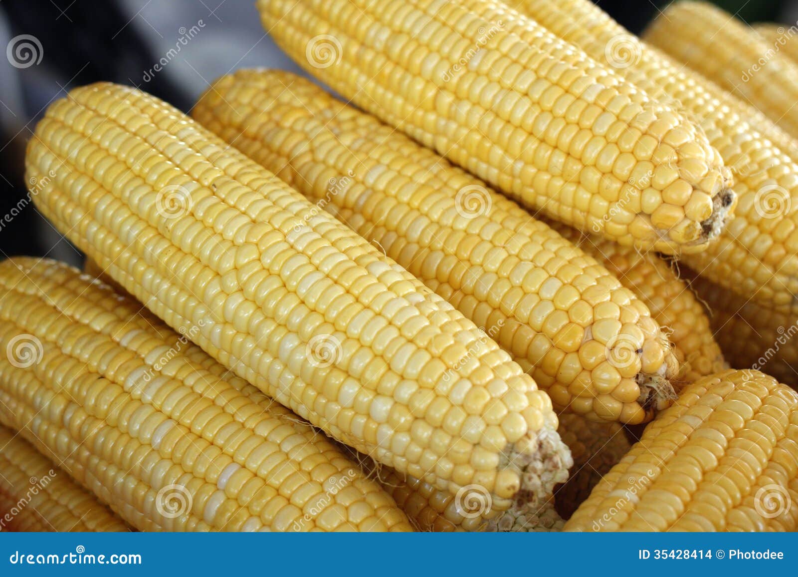 Fresh sweetcorn stock photo. Image of macro, ripe, grain - 35428414