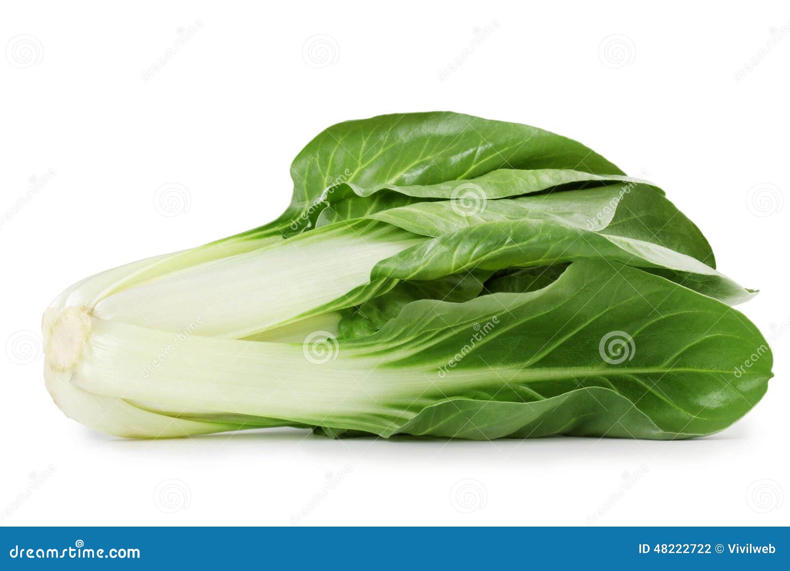 Fresh swiss chard stock photo. Image of background, bunch - 48222722