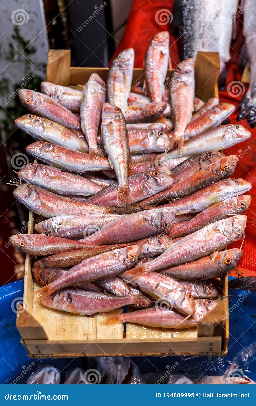 Fresh tabby fish stock image. Image of heat, food, home - 194809995