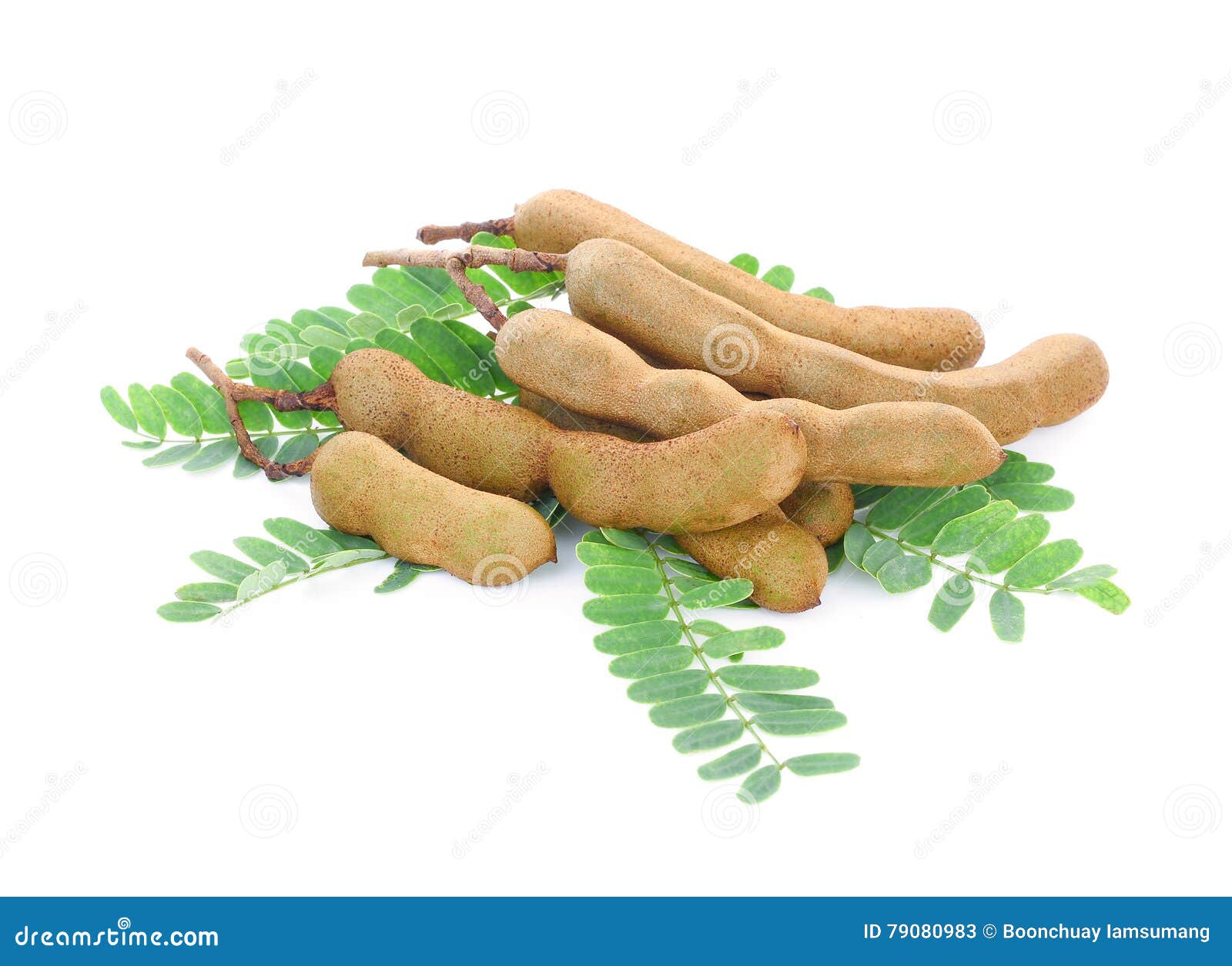 Fresh Tamarind with Leaves Isolated on White Stock Image - Image of ...