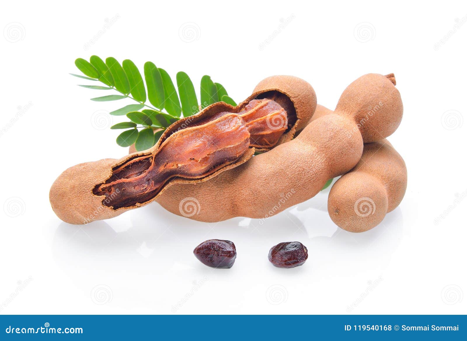 Fresh Tamarind on White Background Stock Photo - Image of healthy ...